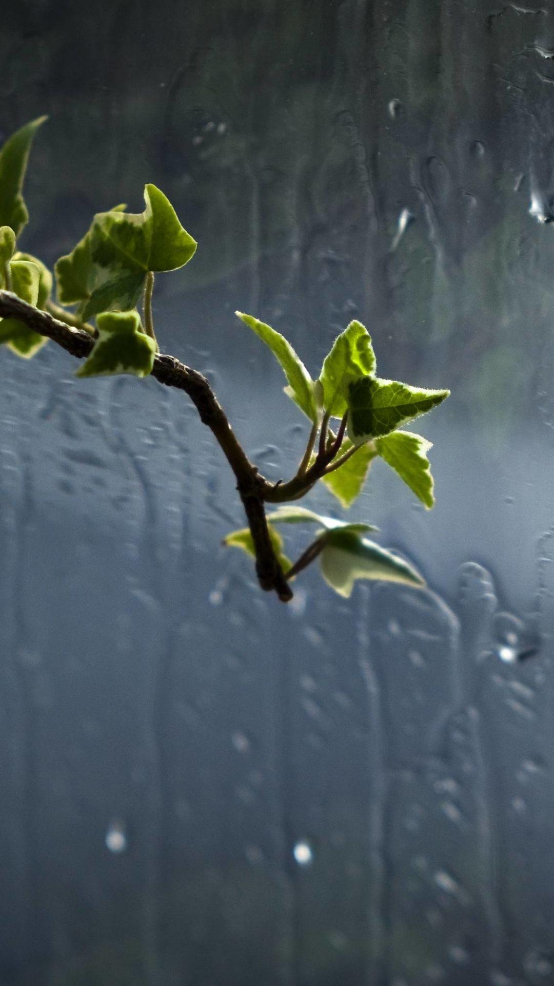 Mi Mobile HD Wallpapers - Wallpaper Cave