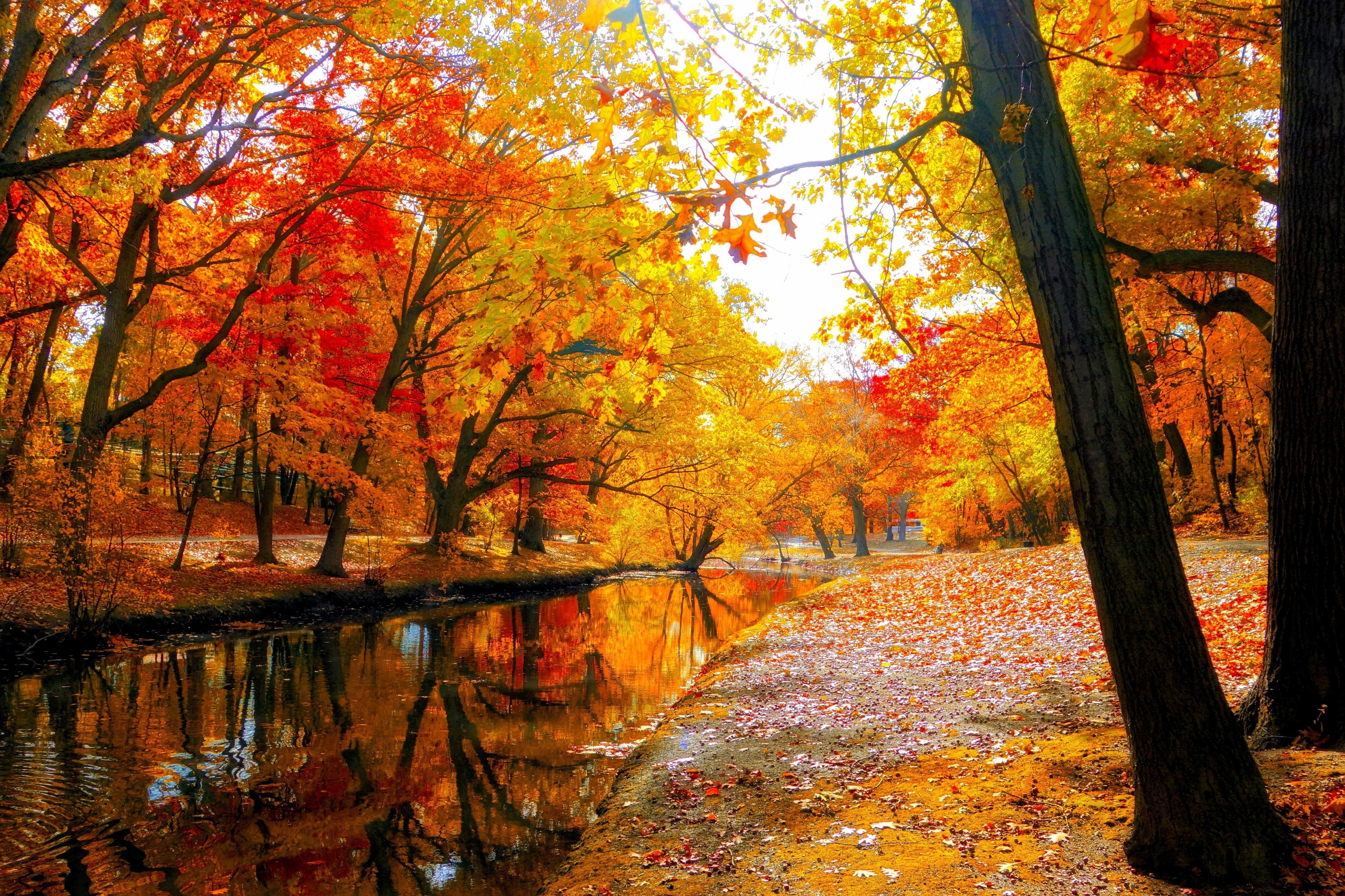 Autumn Landscape Of Color Wallpapers Wallpaper Cave Autumn Landscape Of Color Wallpapers Wallpaper Cave