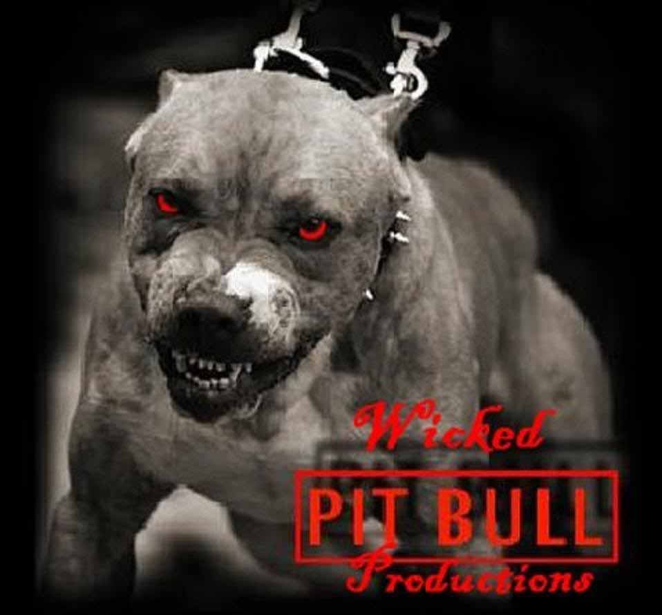Strong Dogs Wallpapers - Wallpaper Cave