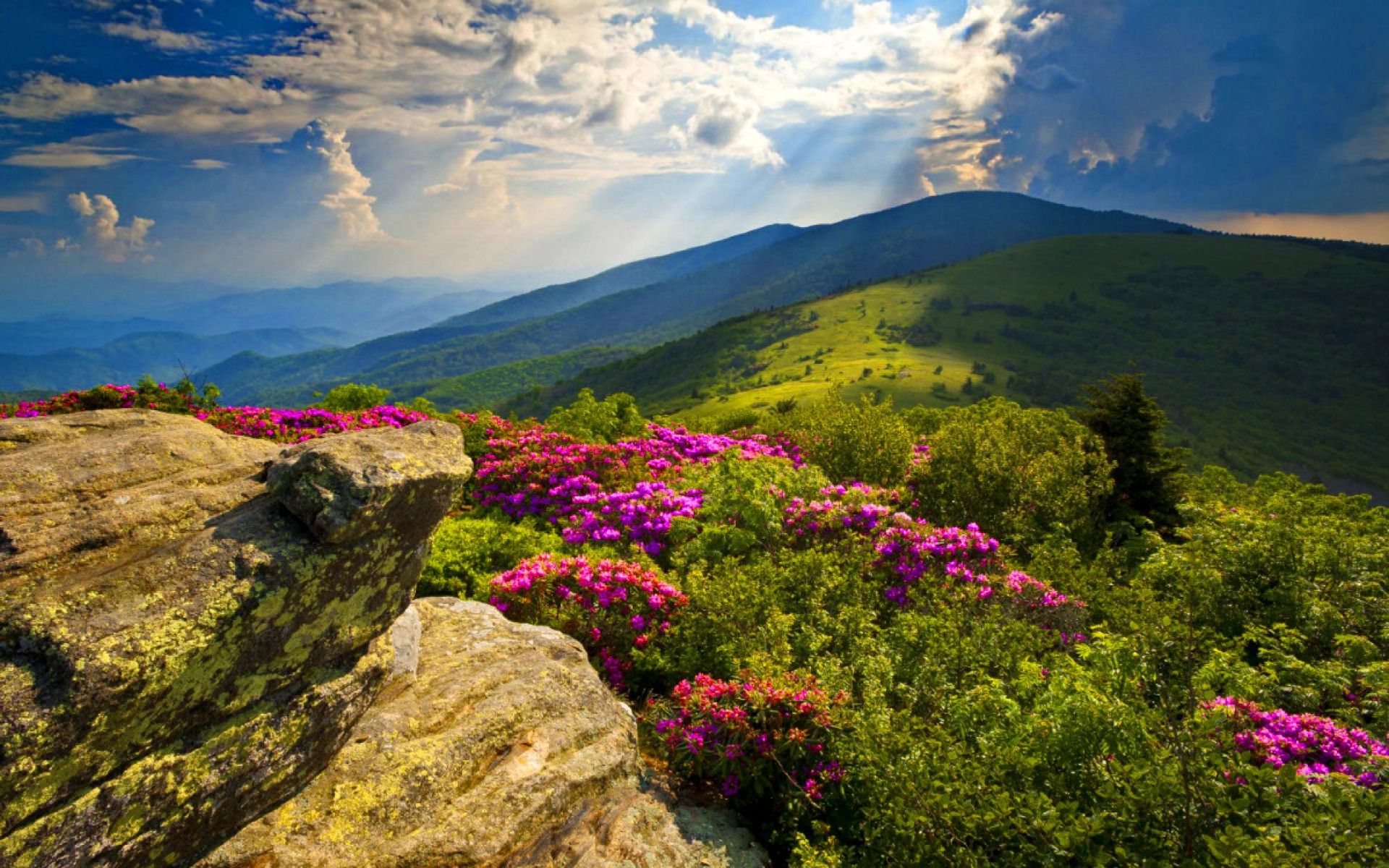 Blue Ridge Mountains Wallpapers - Wallpaper Cave