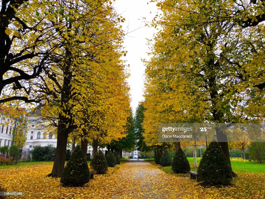 Vienna Autumn Wallpapers - Wallpaper Cave