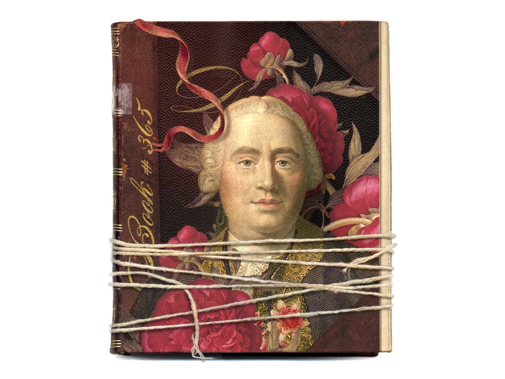 David Hume Wallpapers - Wallpaper Cave