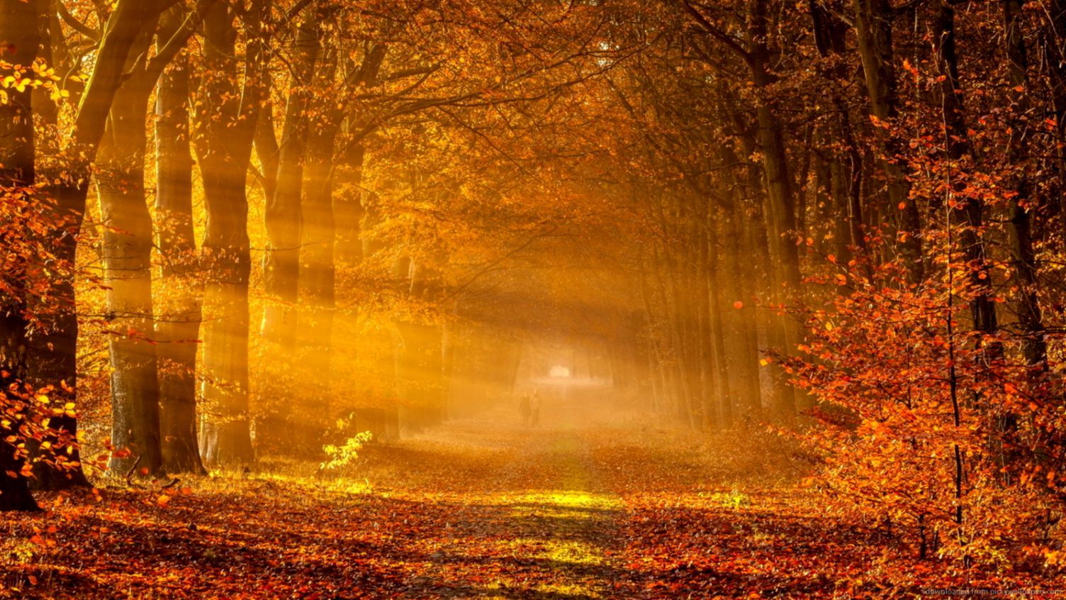 Fancy Autumn Wallpapers - Wallpaper Cave