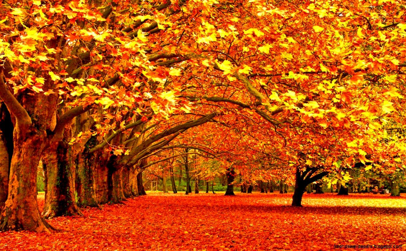 Fancy Autumn Wallpapers - Wallpaper Cave