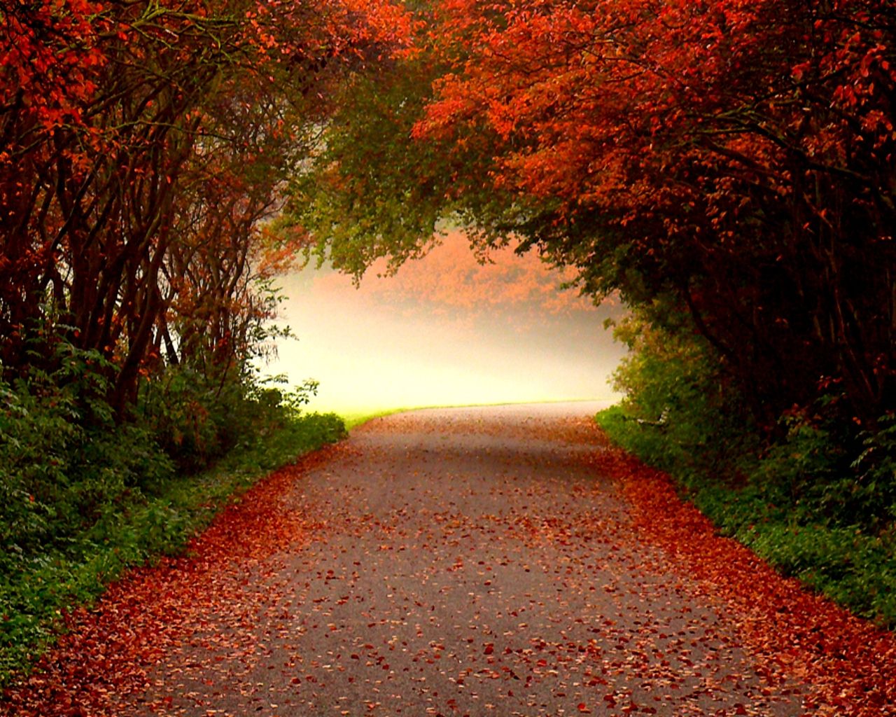 Fancy Autumn Wallpapers - Wallpaper Cave
