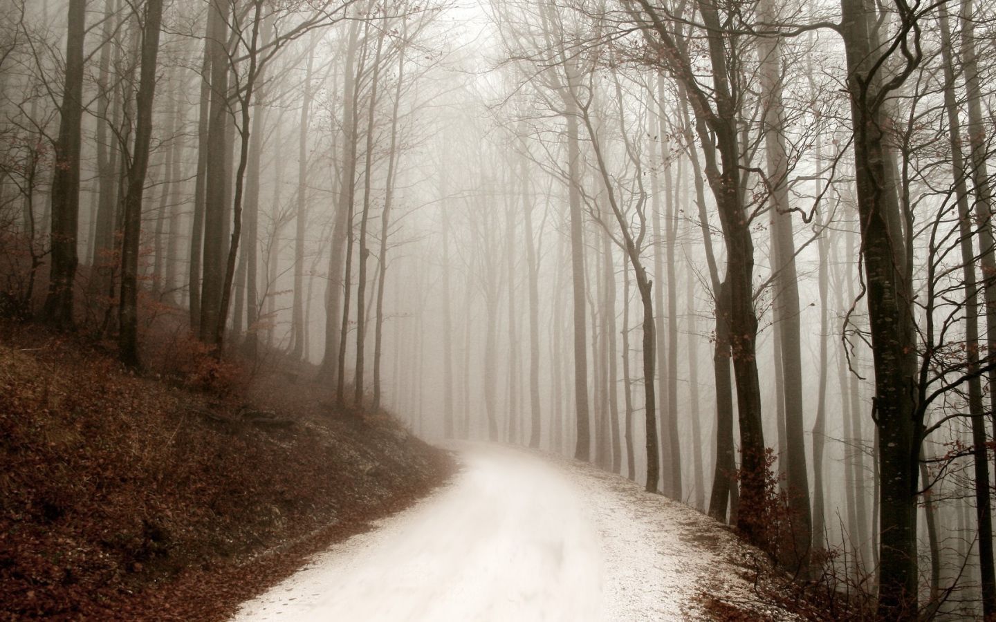 Track On Snow Wallpapers - Wallpaper Cave