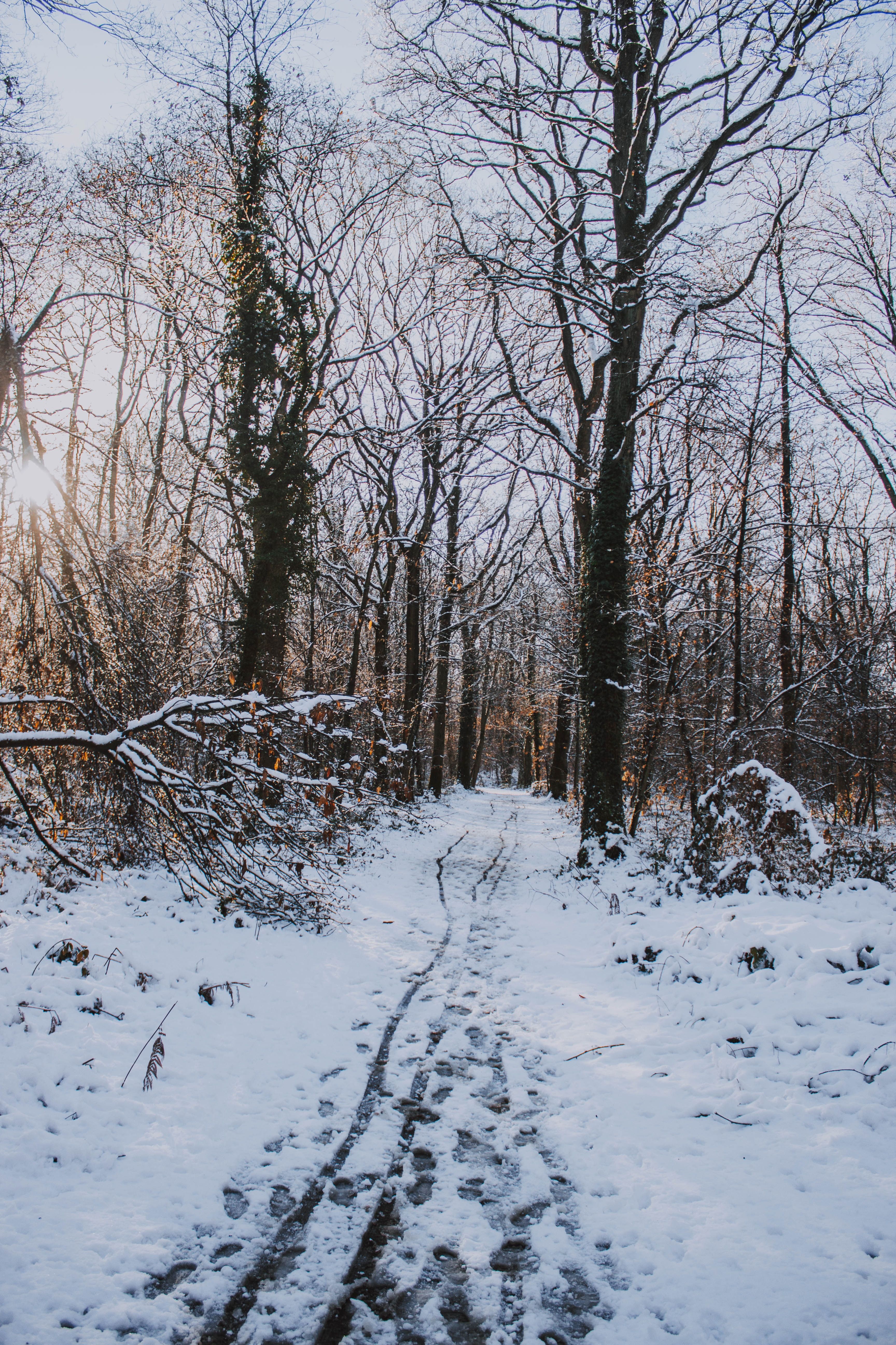 Track On Snow Wallpapers - Wallpaper Cave