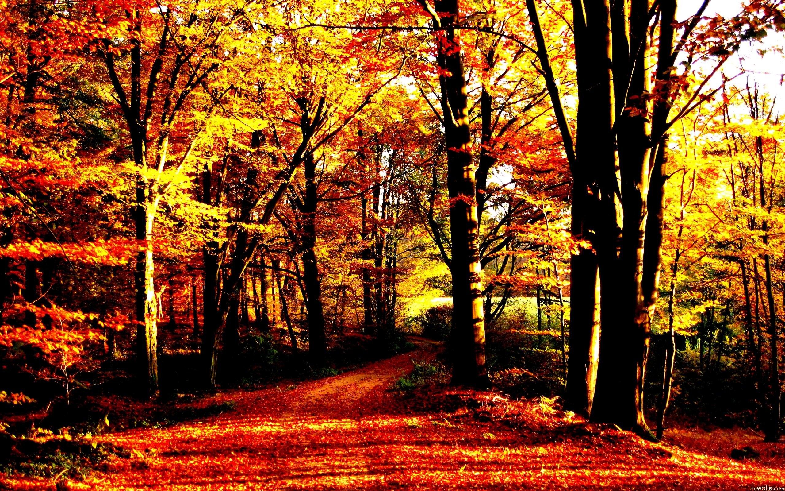 Autumn Leaves And Landscapes Wallpapers - Wallpaper Cave