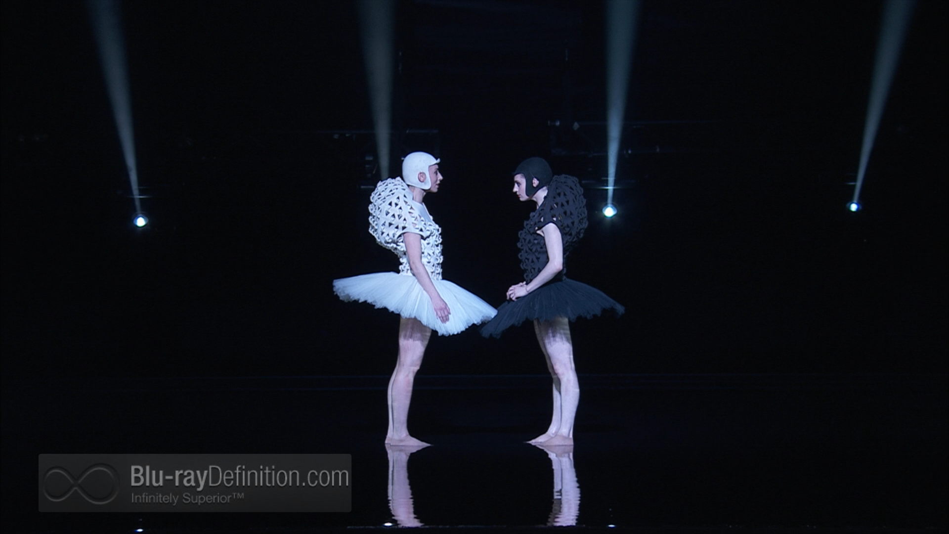 Swan Dance Wallpapers - Wallpaper Cave