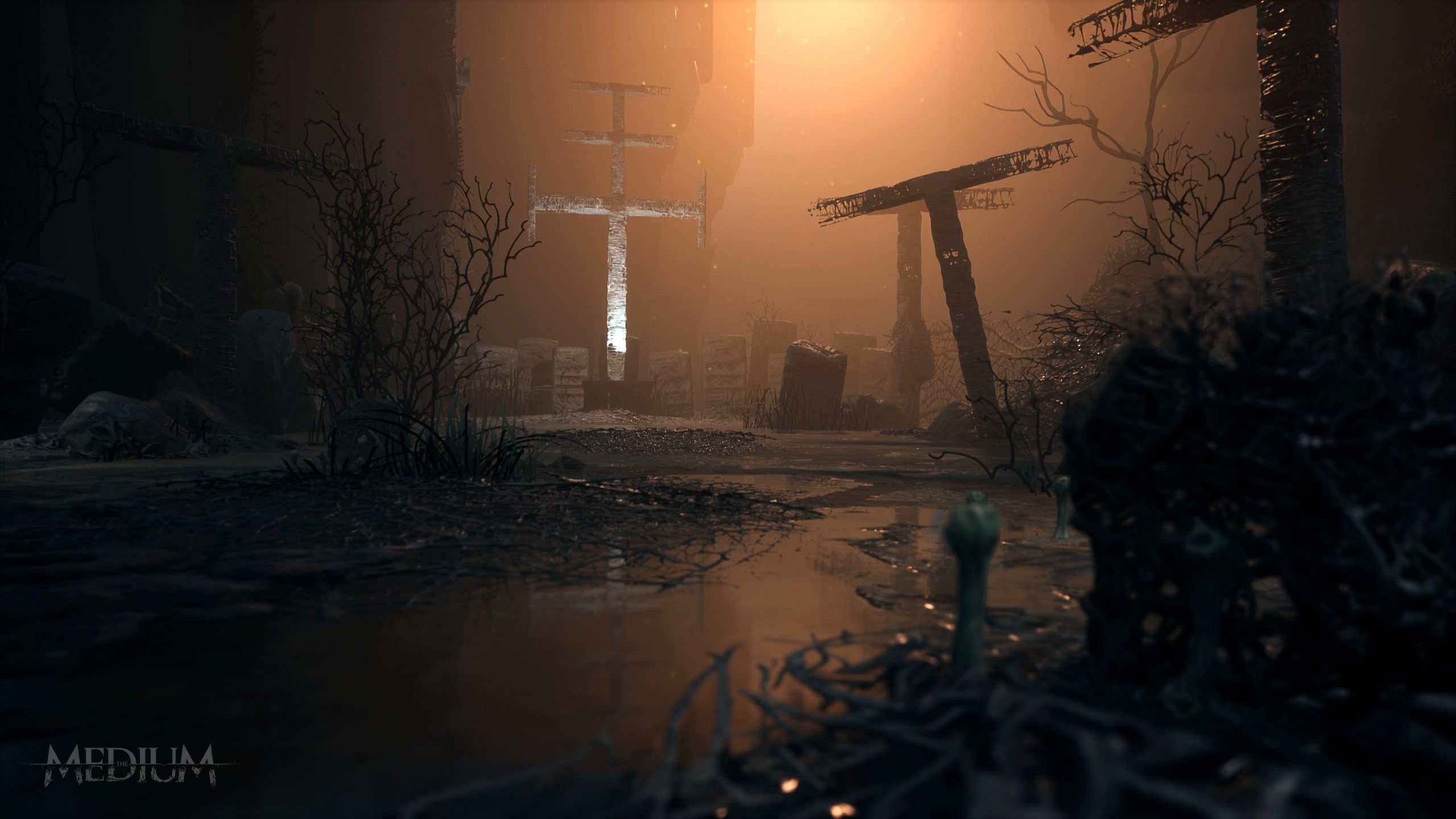 The Medium Wallpapers - Wallpaper Cave