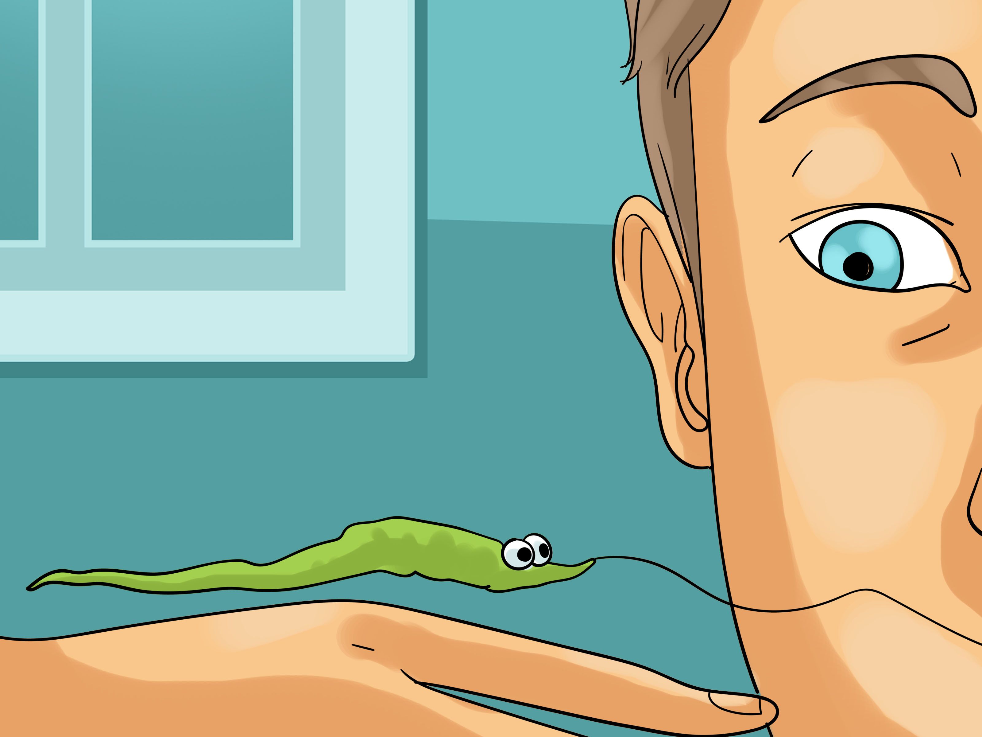 Worm On A String Wallpapers - Wallpaper Cave