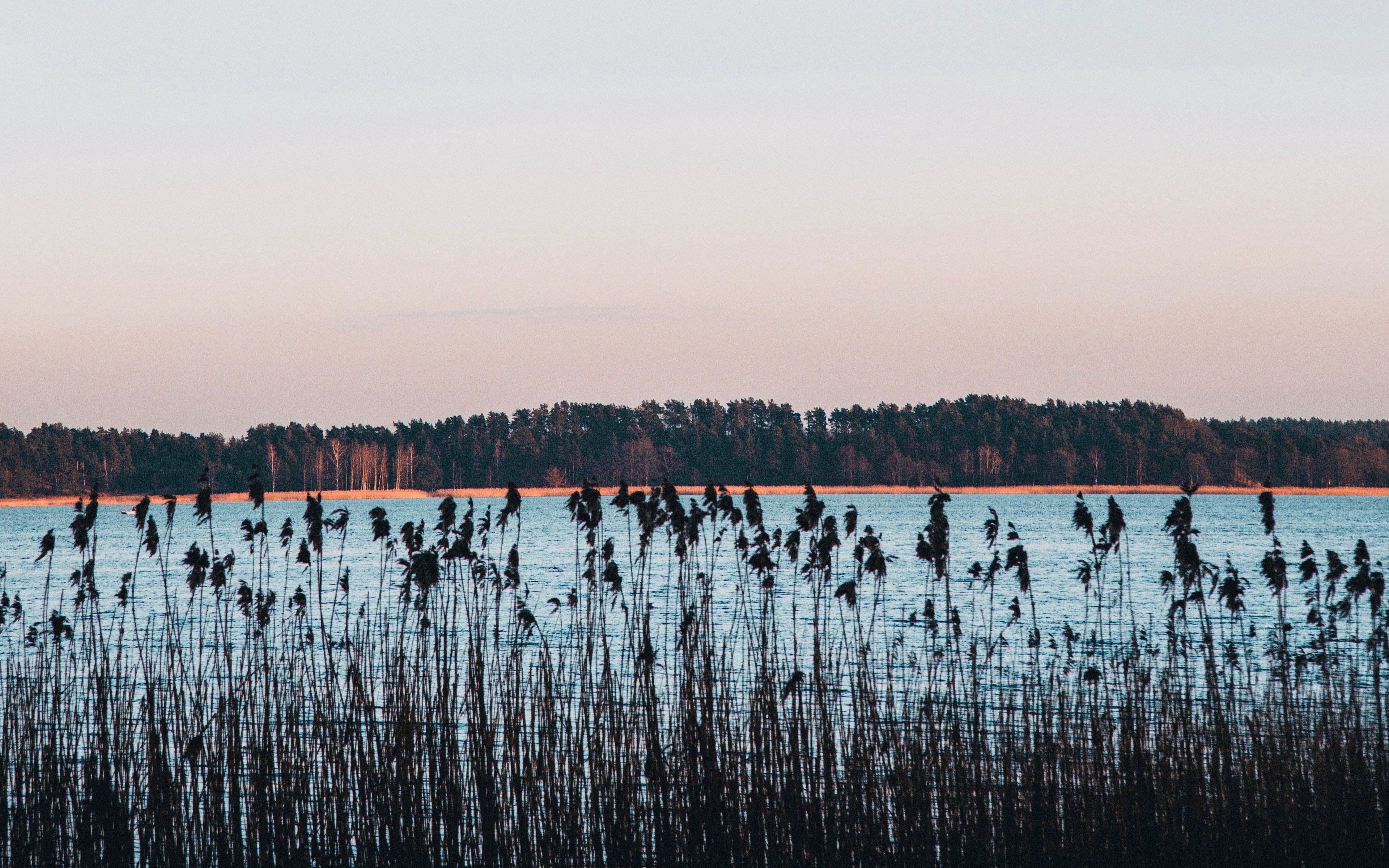 Lake Coast Wallpapers - Wallpaper Cave