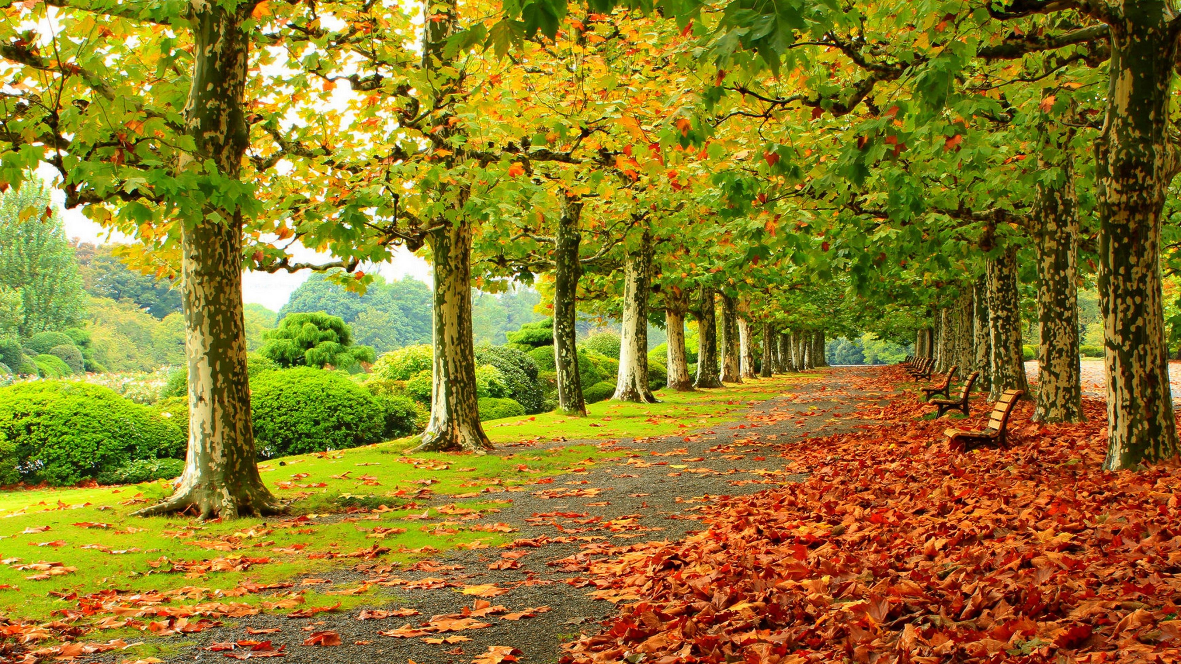 Autumn Scenary Wallpapers - Wallpaper Cave