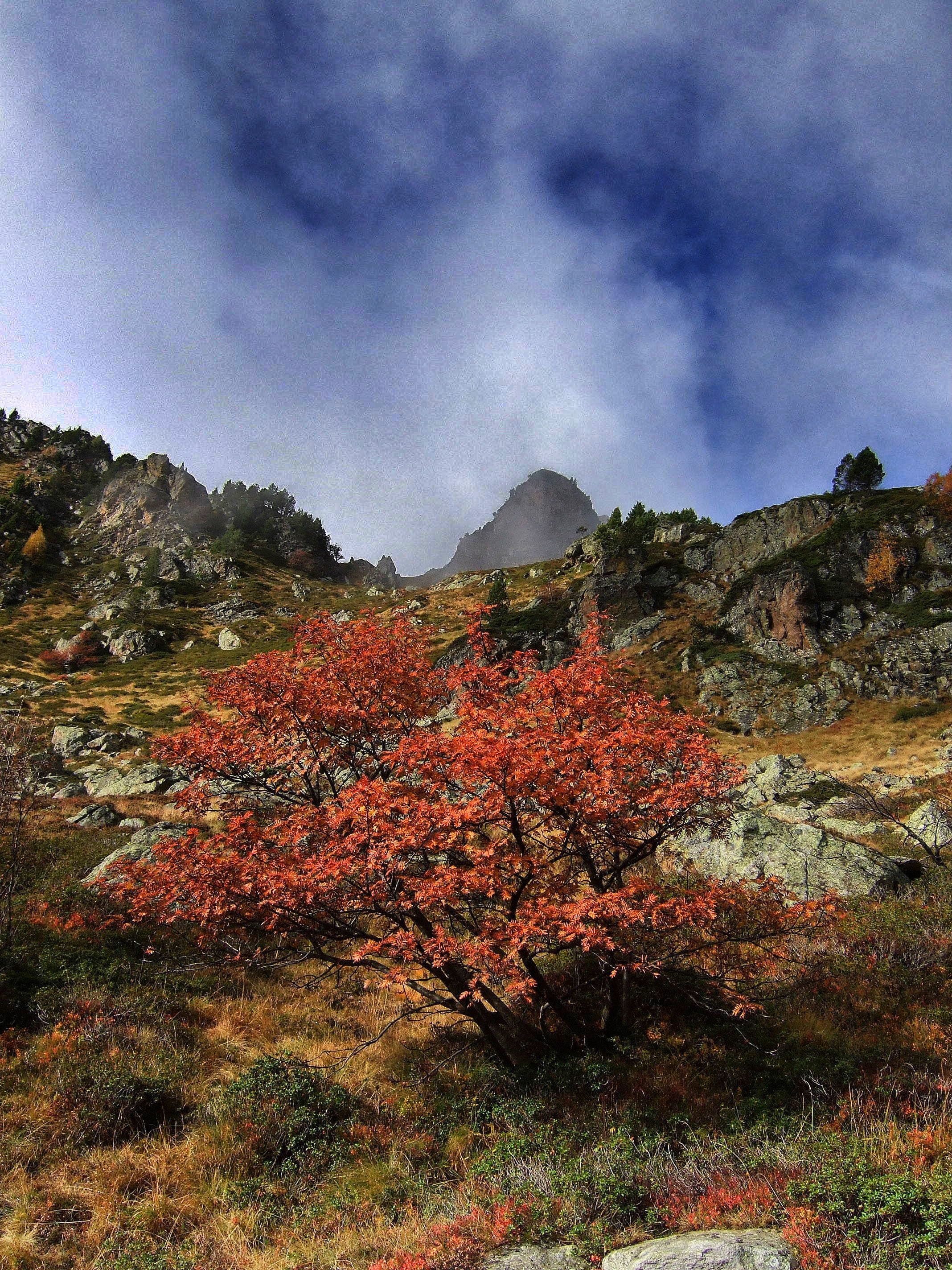 Autumn Pyrenees Wallpapers - Wallpaper Cave