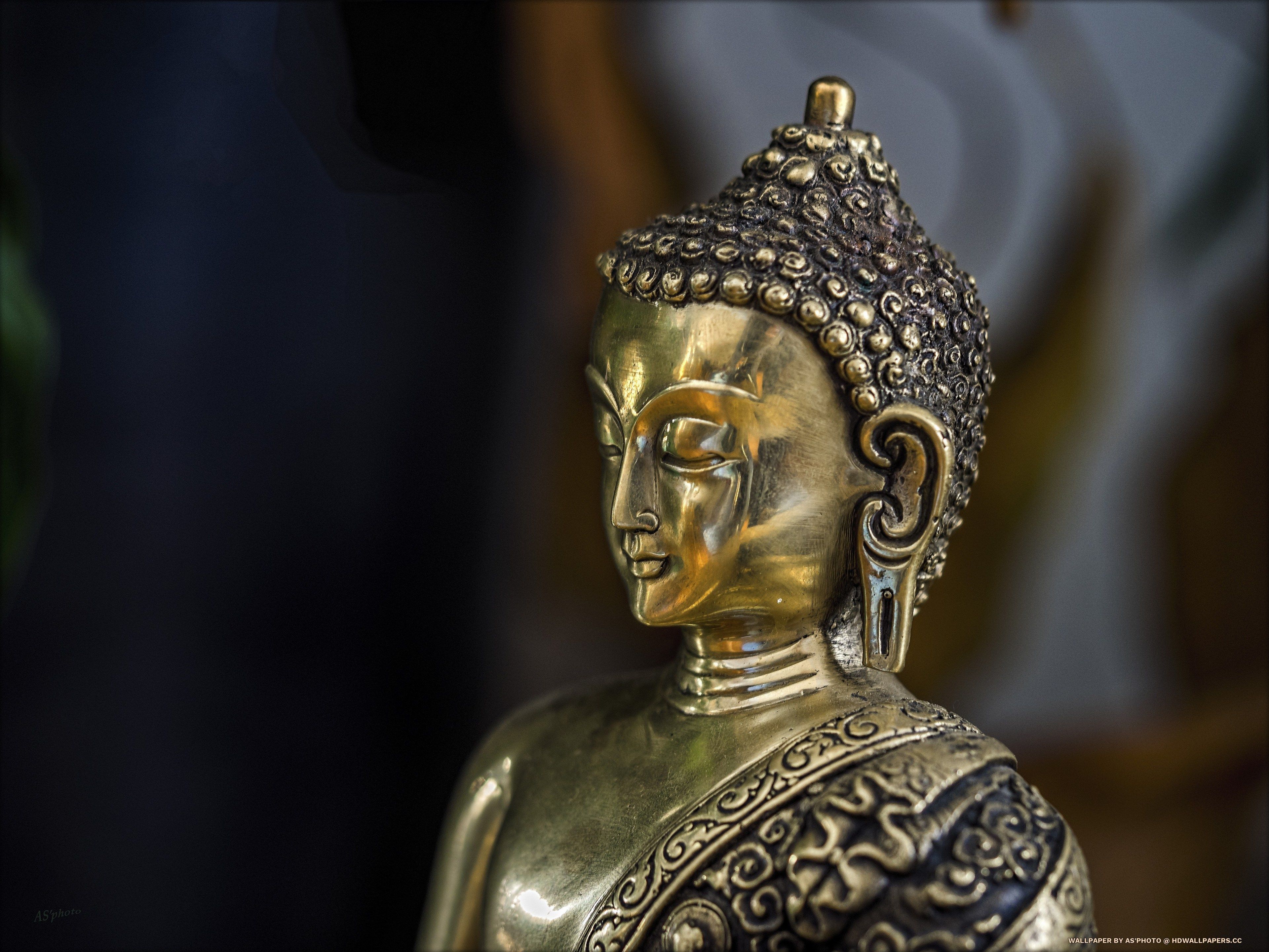 Budhan Wallpapers - Wallpaper Cave