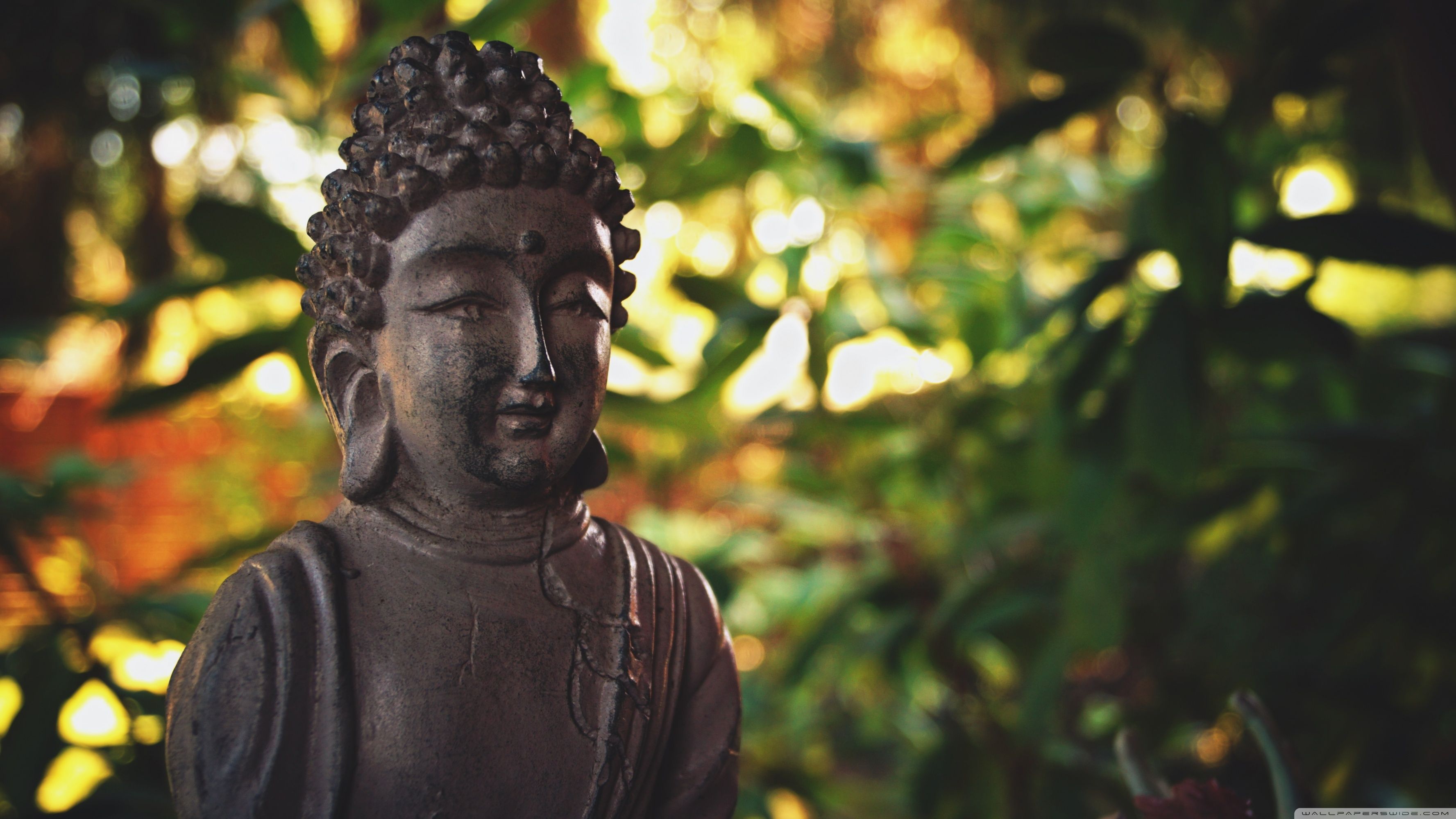 Budhan Wallpapers - Wallpaper Cave