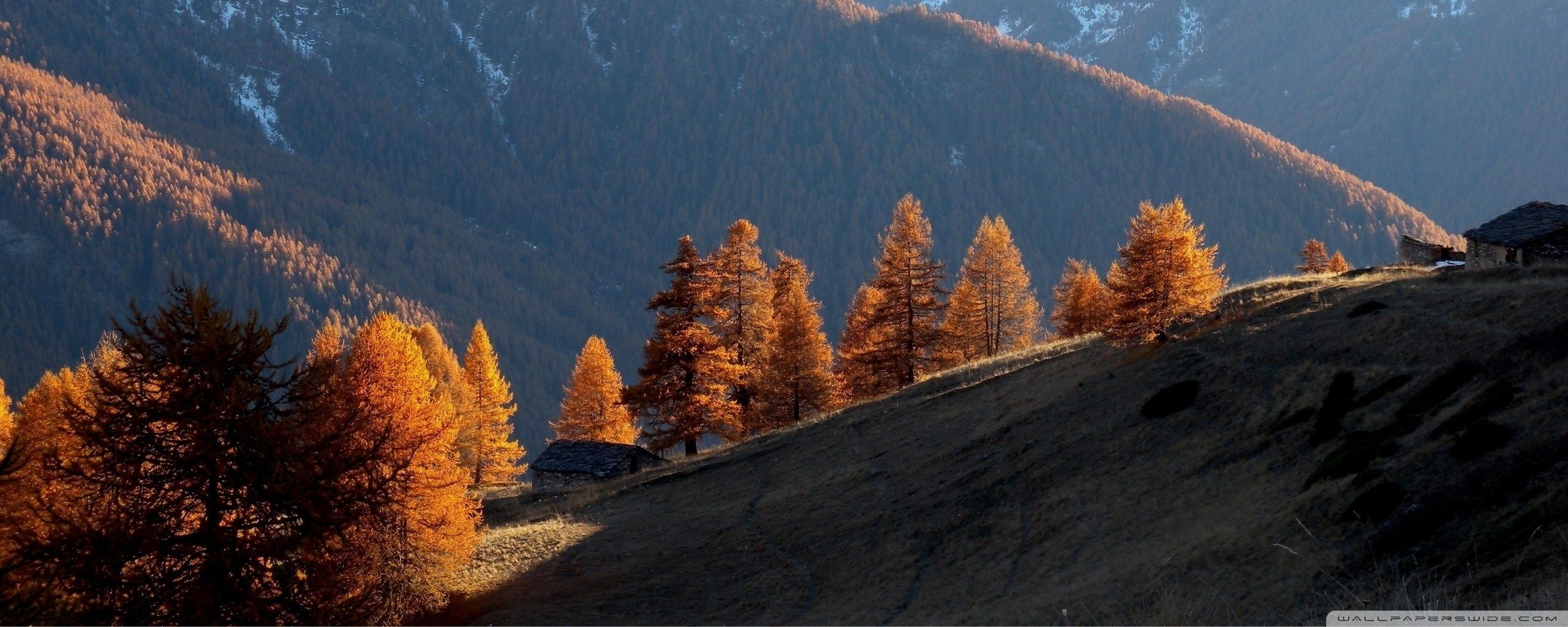 Beginning Of Winter Wallpapers - Wallpaper Cave