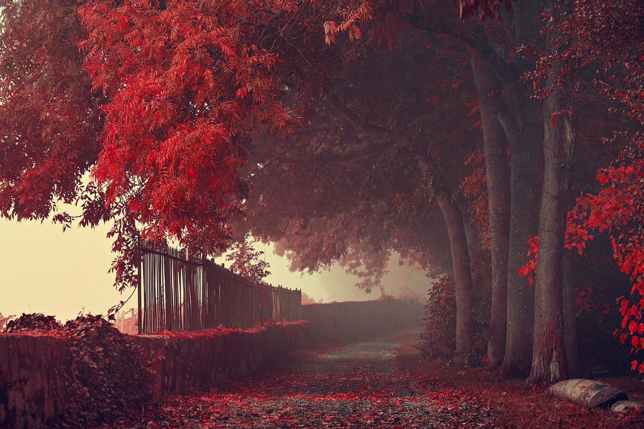 Autumn Wonderland Wallpapers - Wallpaper Cave