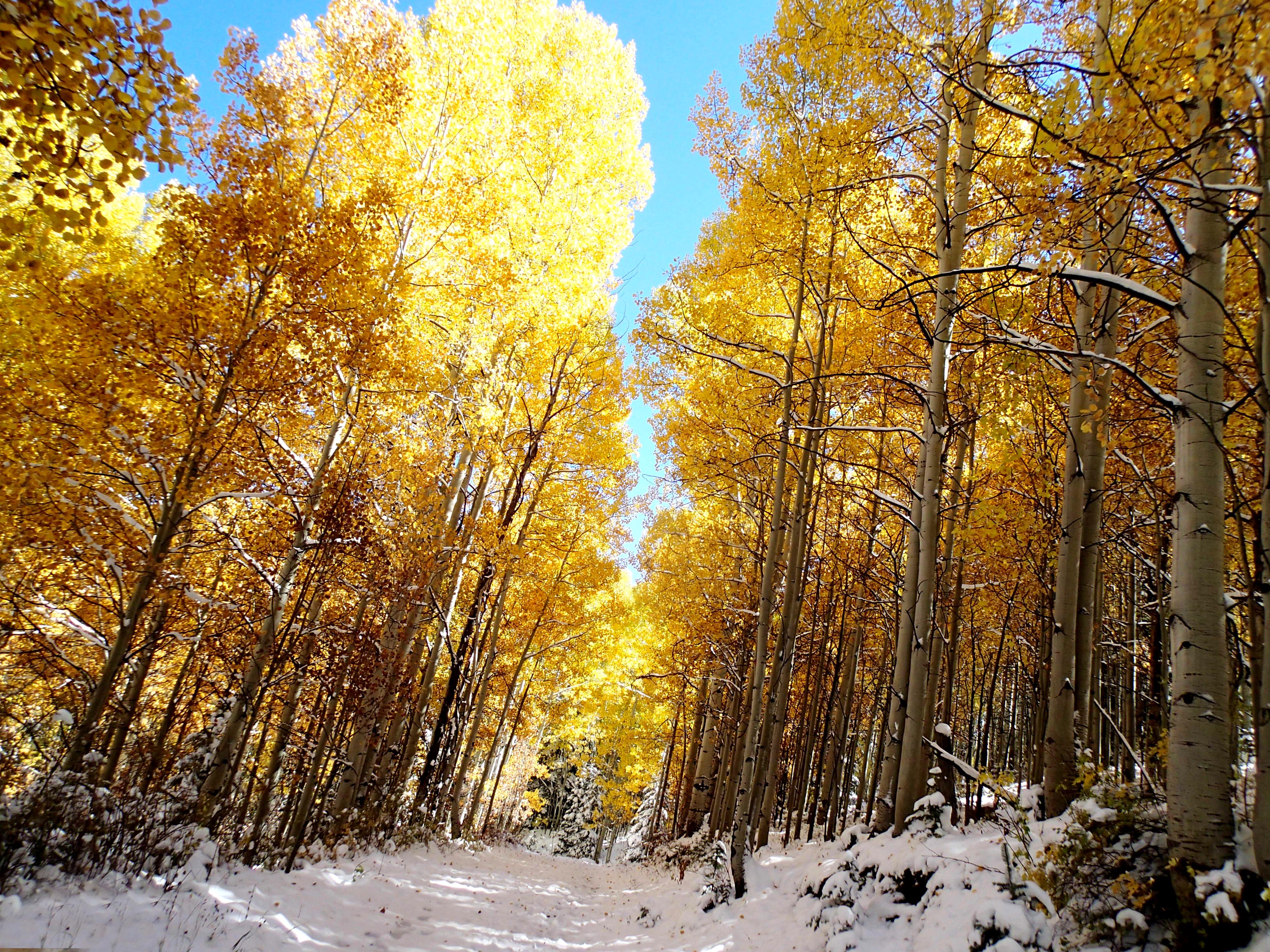 Autumn Wonderland Wallpapers - Wallpaper Cave