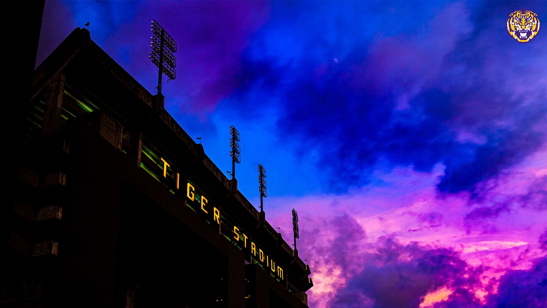 Softball Computer Wallpapers - Wallpaper Cave