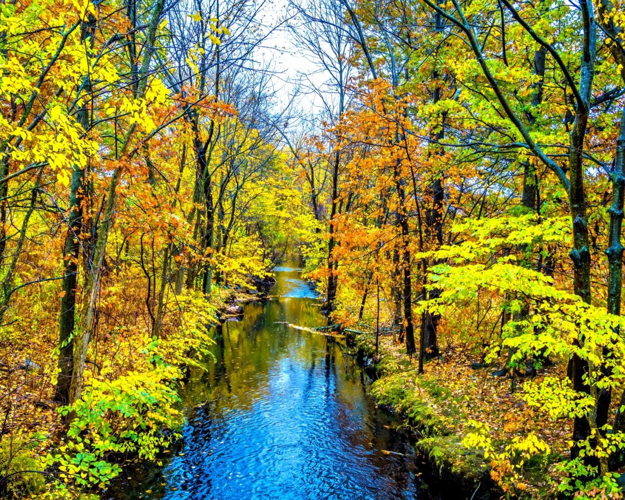 Bright Autumn Wallpapers - Wallpaper Cave