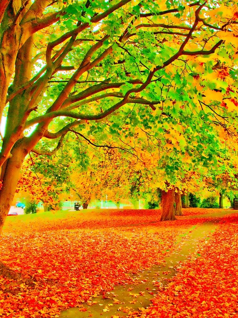 Bright Autumn Wallpapers - Wallpaper Cave