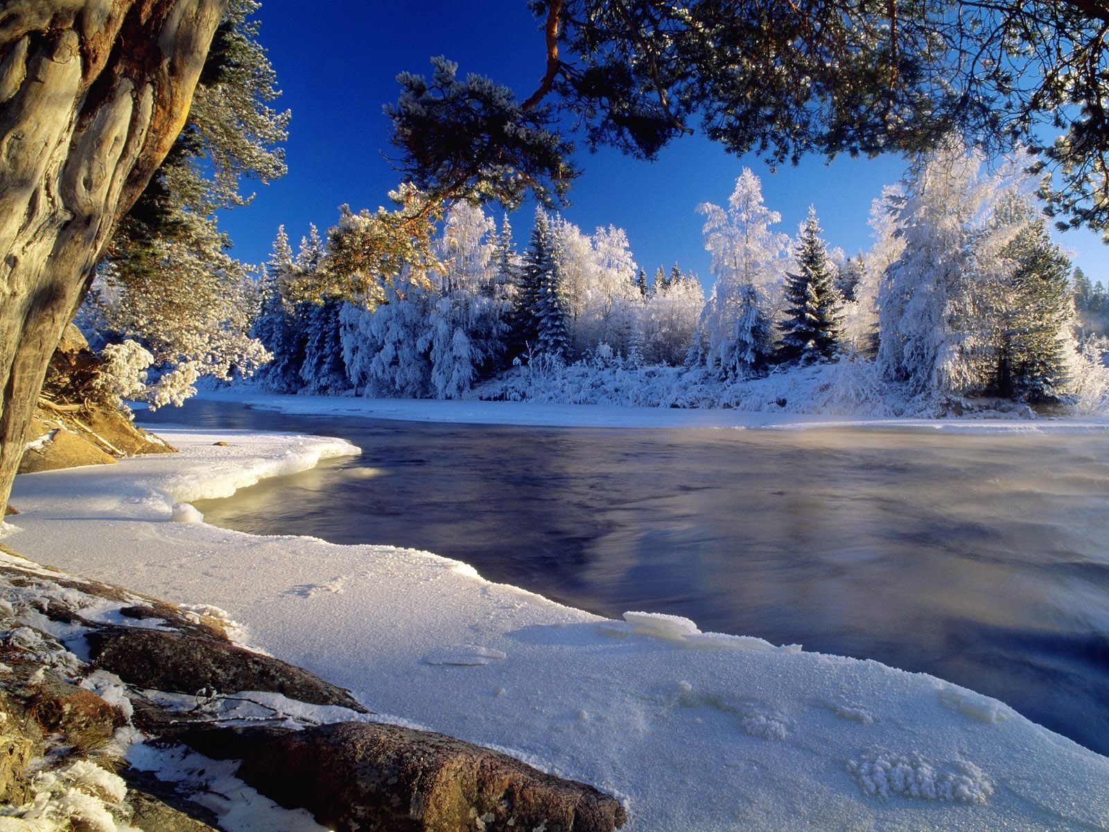 Winter Paradise Wallpapers - Wallpaper Cave