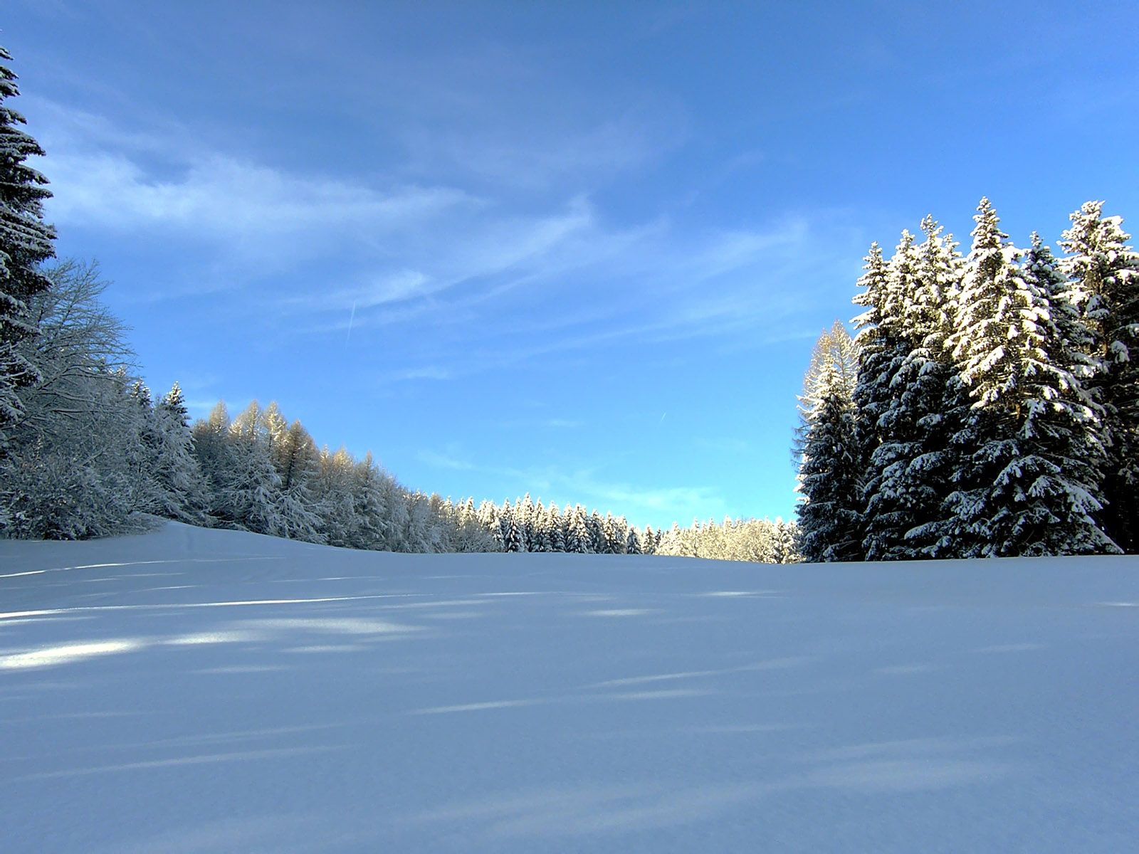 Winter Paradise Wallpapers - Wallpaper Cave