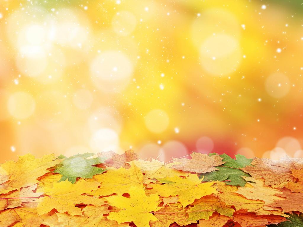 Bright Autumn Day Wallpapers - Wallpaper Cave