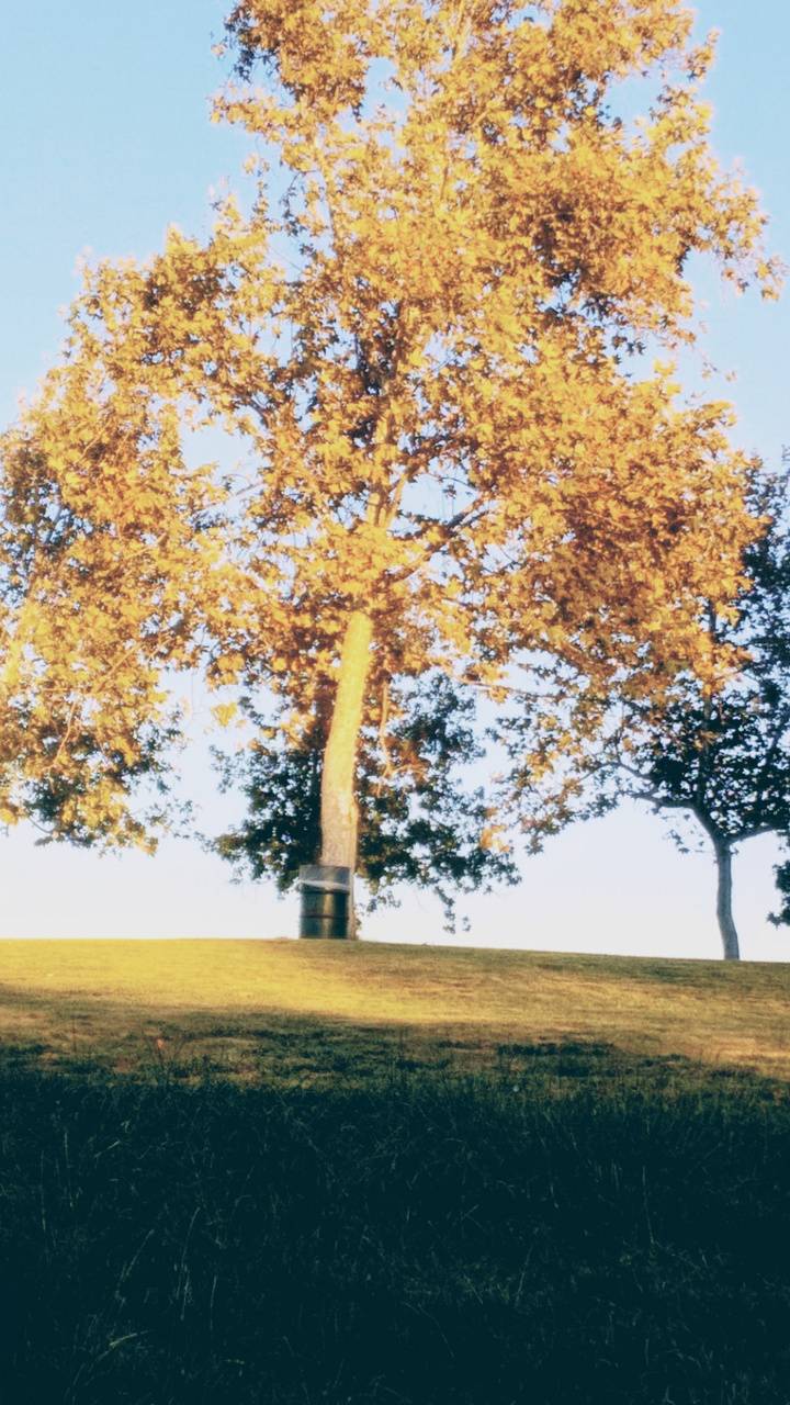 Autumn BTS Wallpapers - Wallpaper Cave