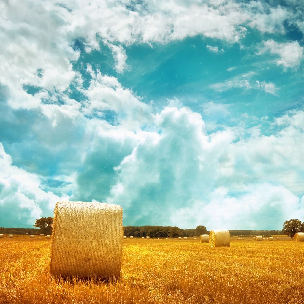 Field In Autumn Wallpapers - Wallpaper Cave