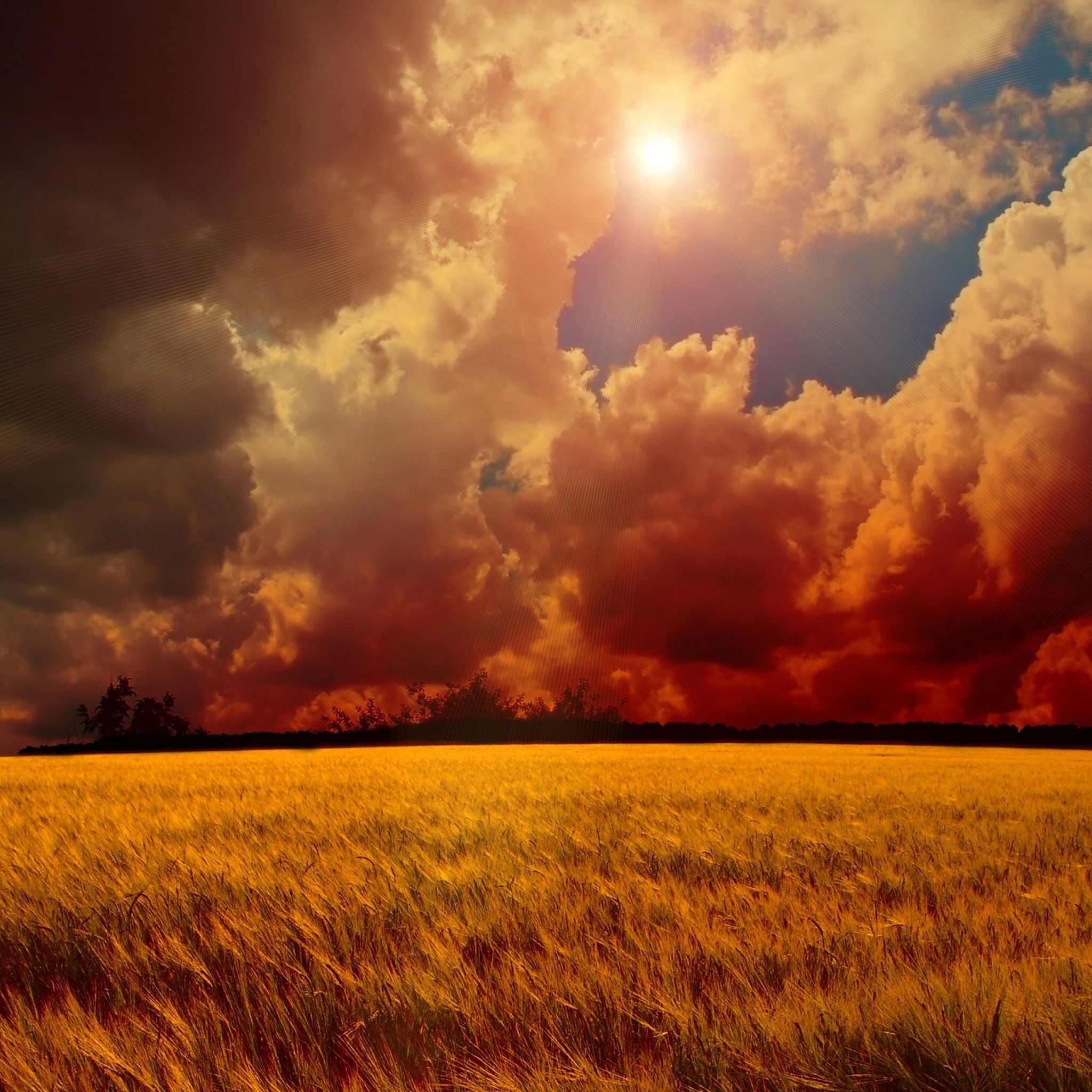 Field In Autumn Wallpapers - Wallpaper Cave