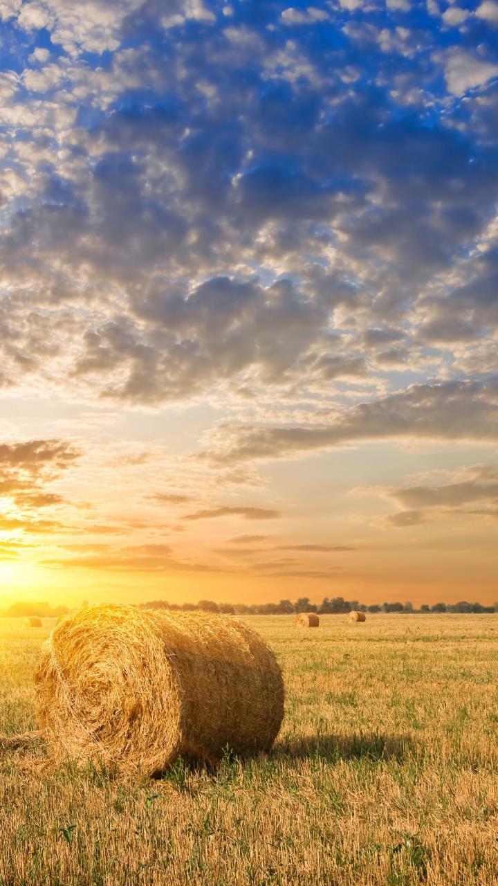 Field In Autumn Wallpapers - Wallpaper Cave