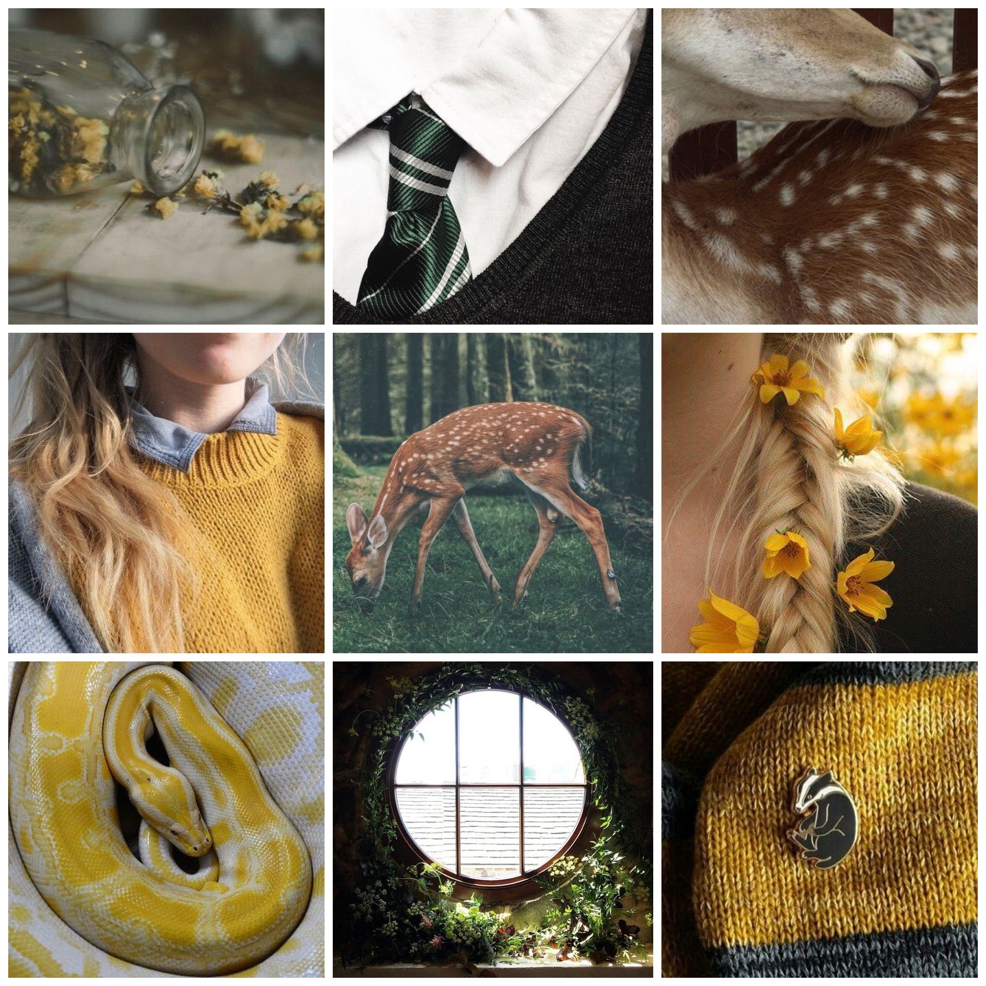 Slytherpuff Wallpapers - Wallpaper Cave