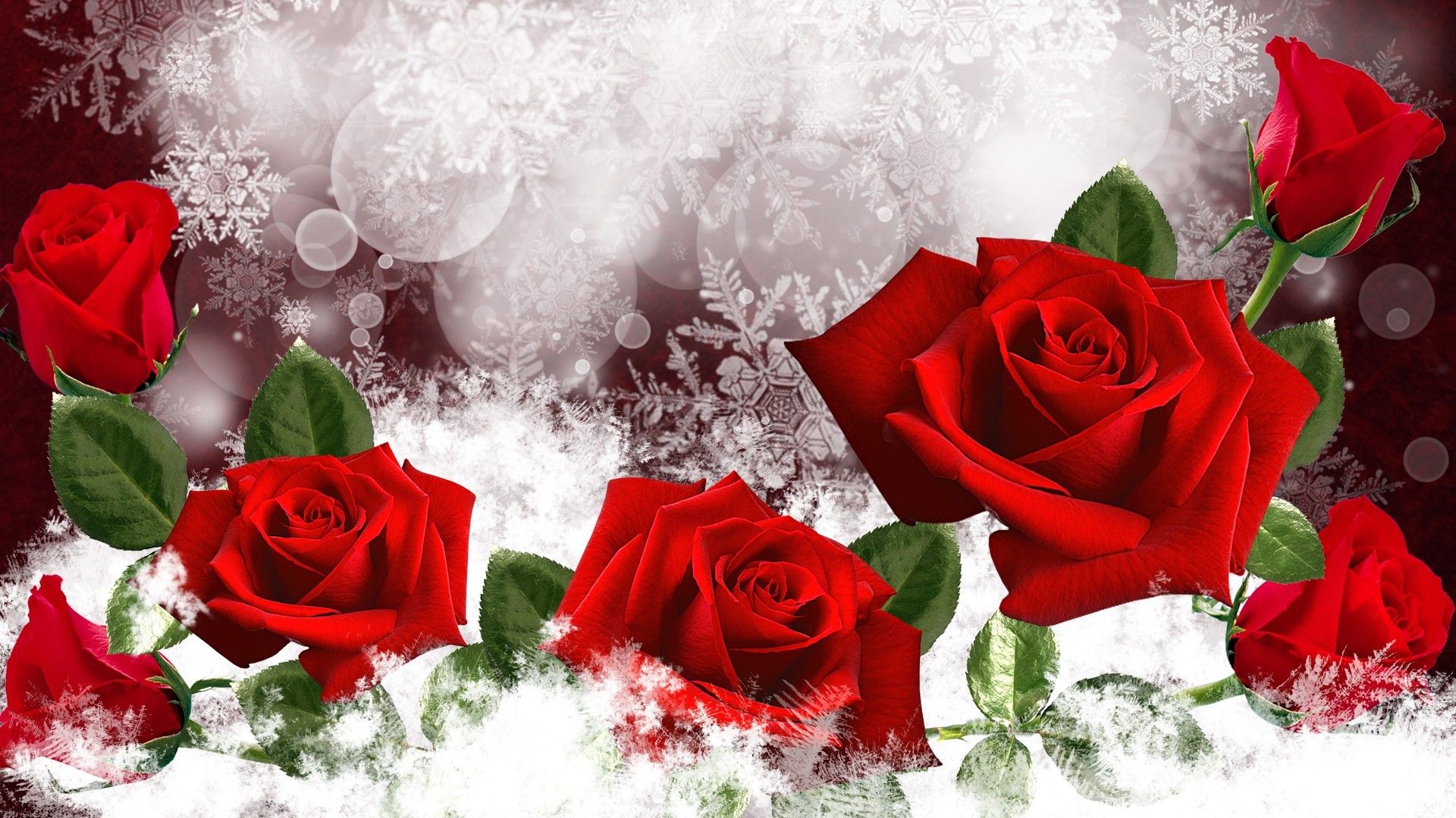 Winter Flowers Rose Wallpapers - Wallpaper Cave