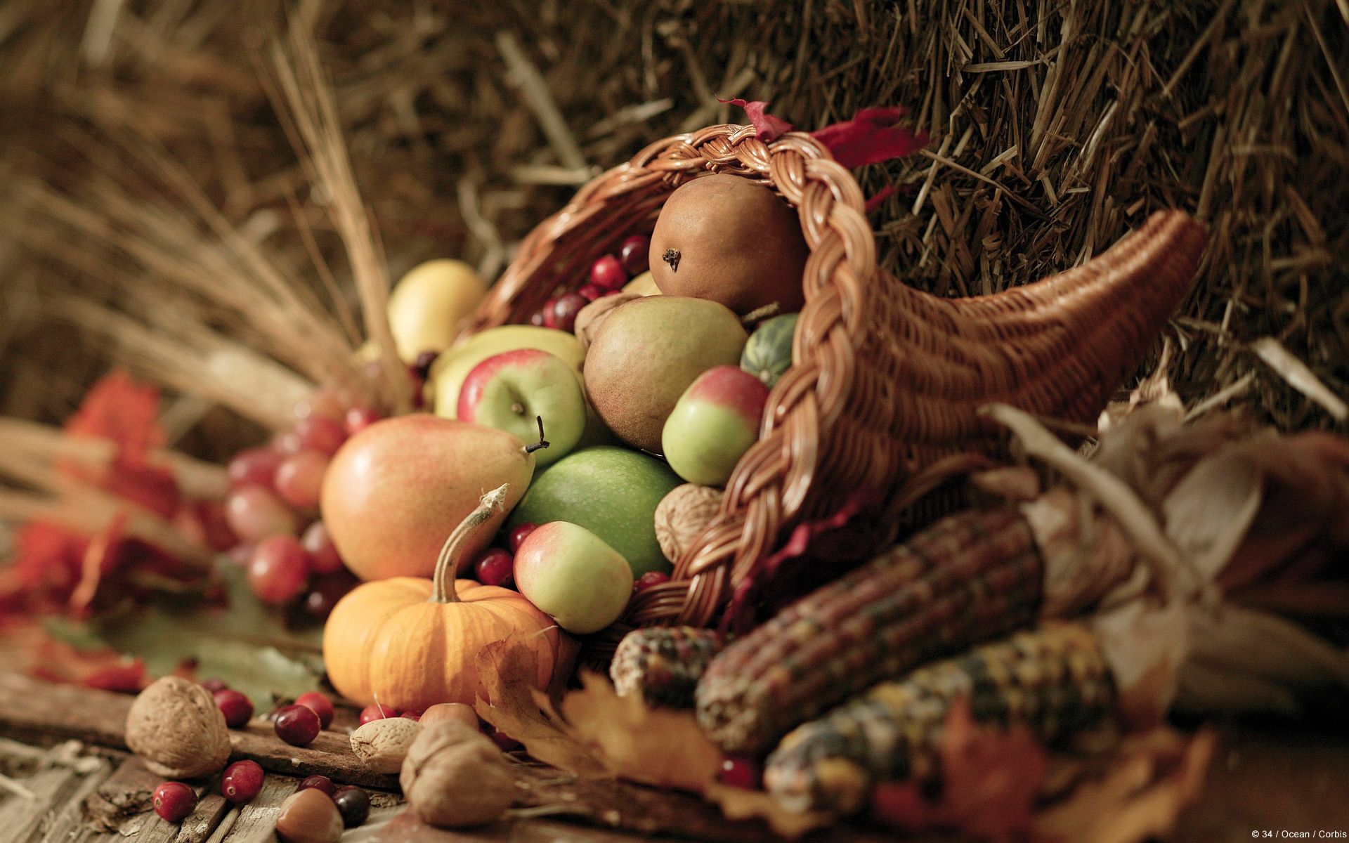 Thanksgiving Apple Wallpapers - Wallpaper Cave