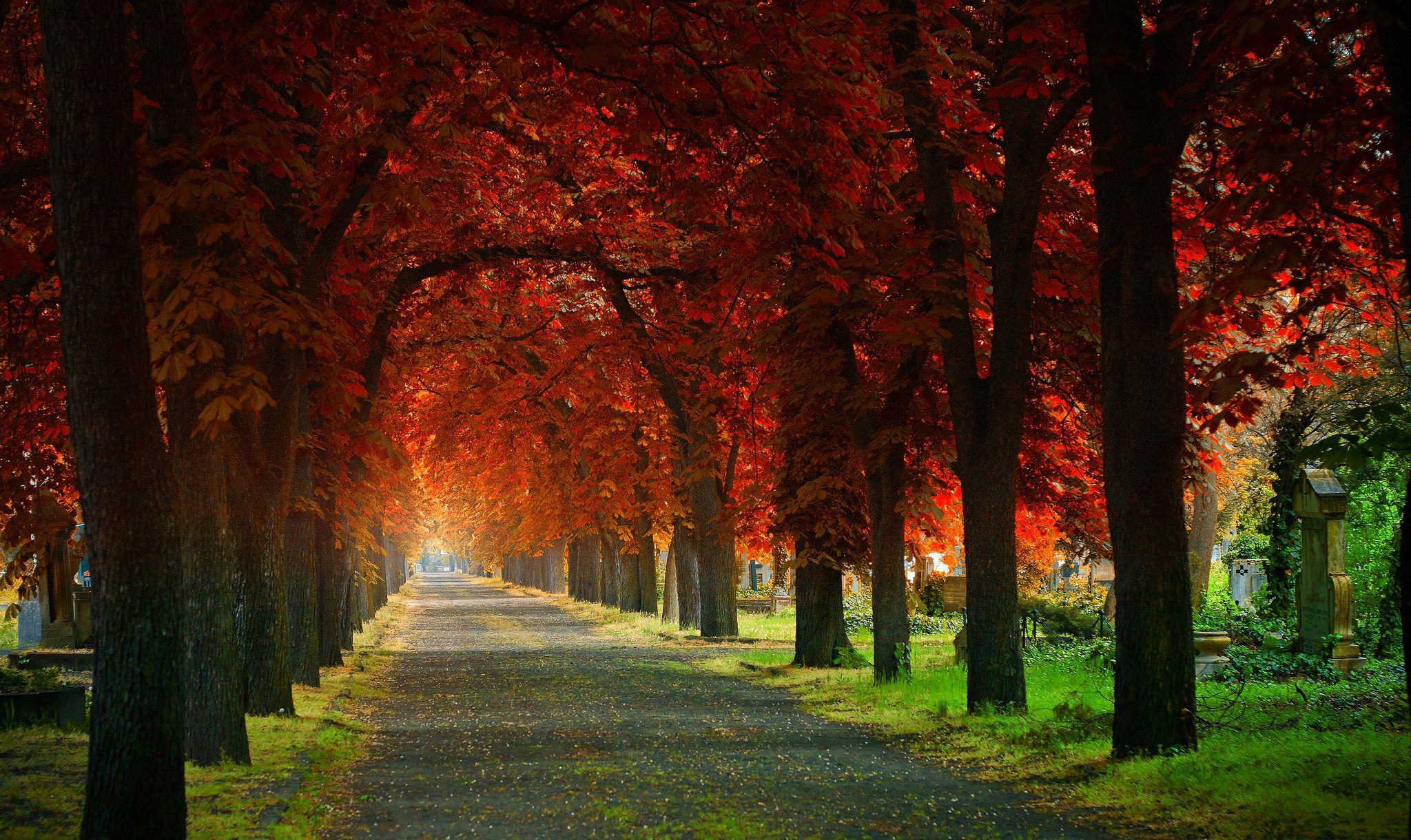 Grass Autumn Wallpapers - Wallpaper Cave