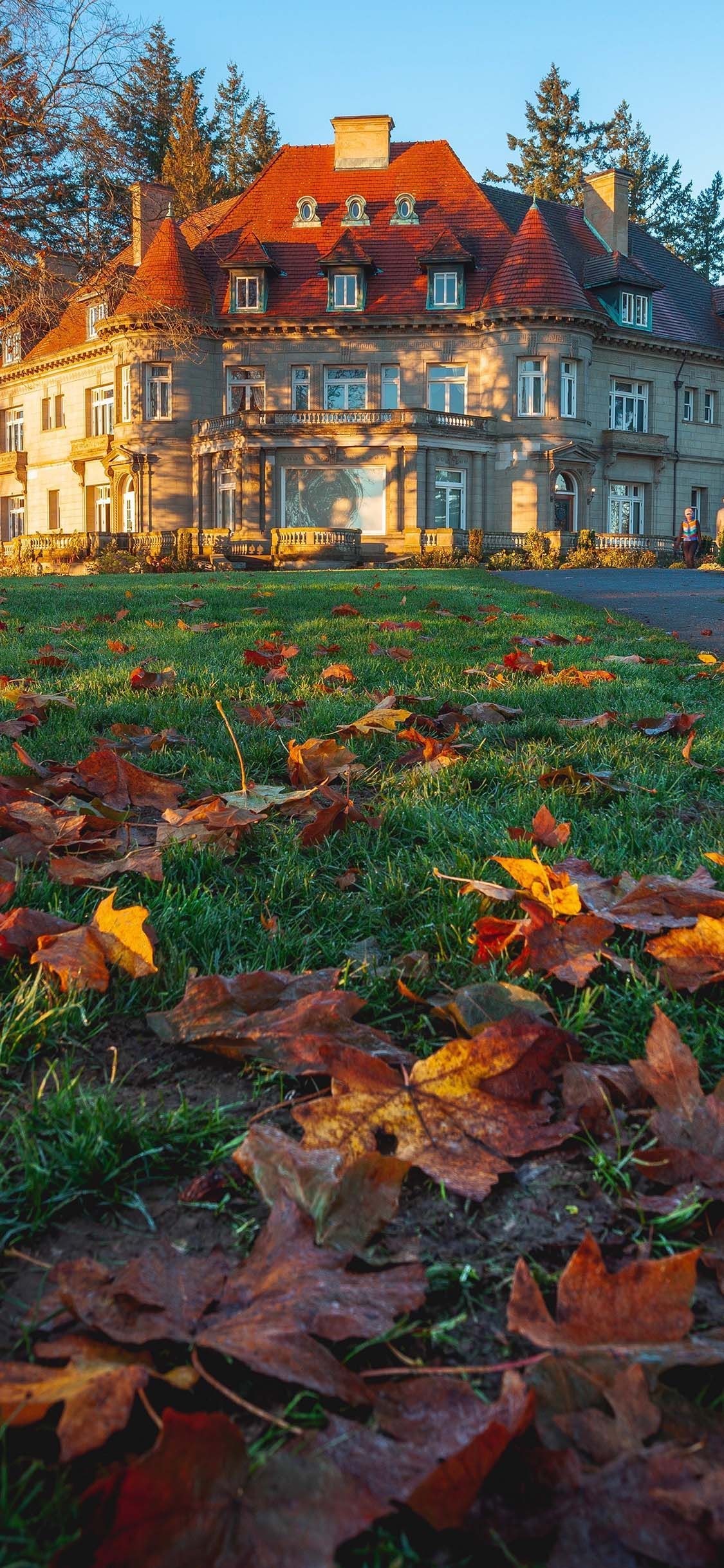 Grass Autumn Wallpapers - Wallpaper Cave