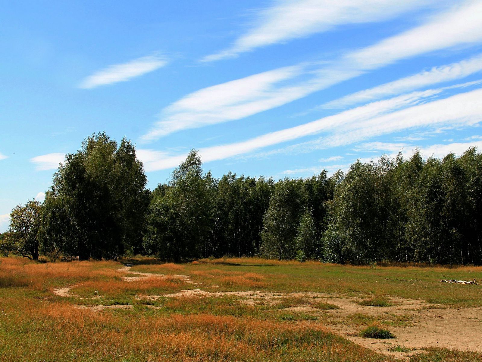 Grass Autumn Wallpapers - Wallpaper Cave