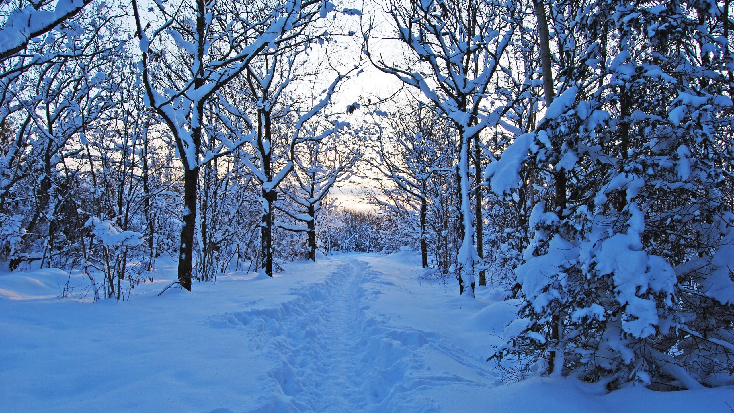 Winter Silence Wallpapers - Wallpaper Cave