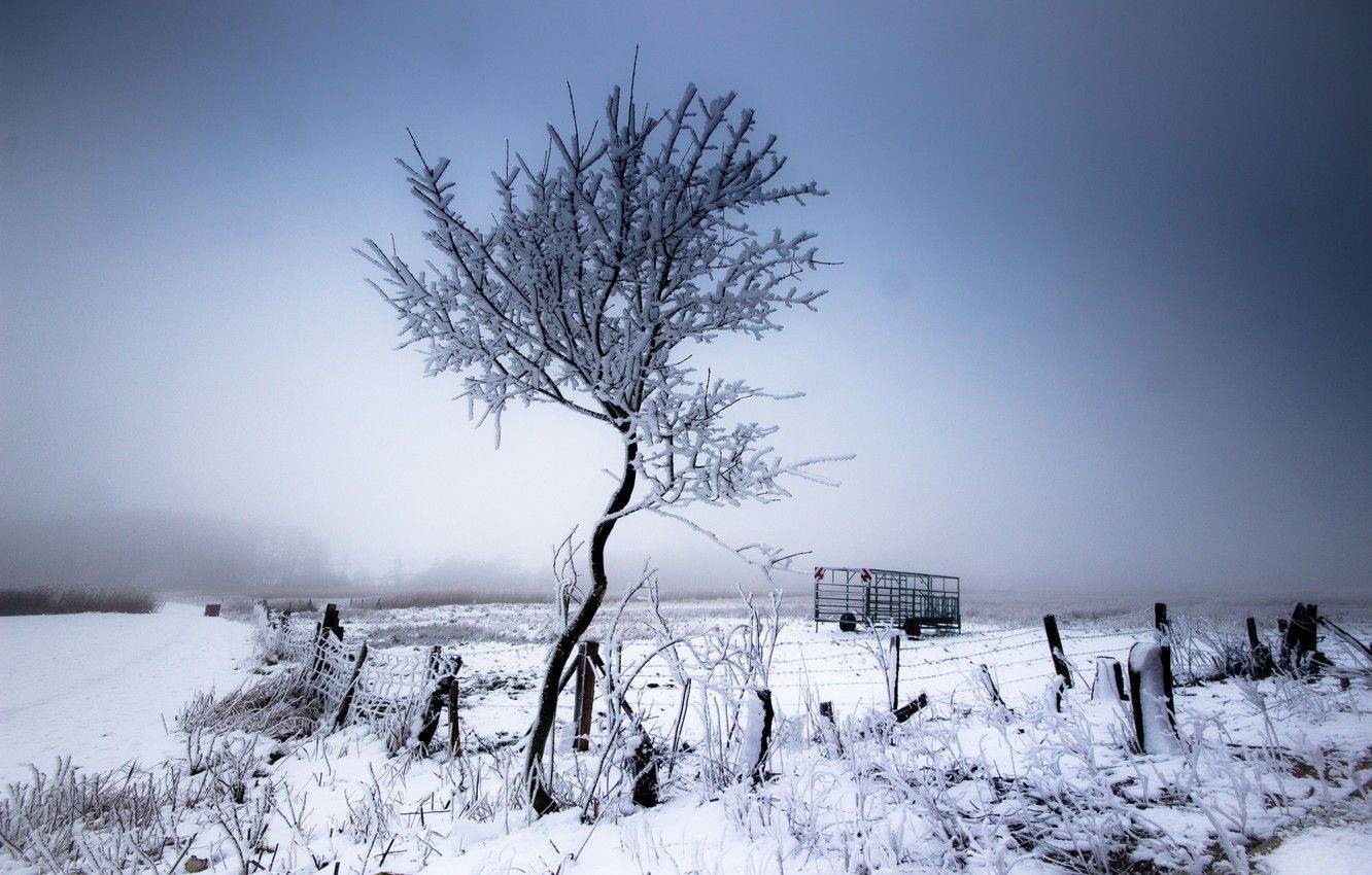 Winter Silence Wallpapers - Wallpaper Cave