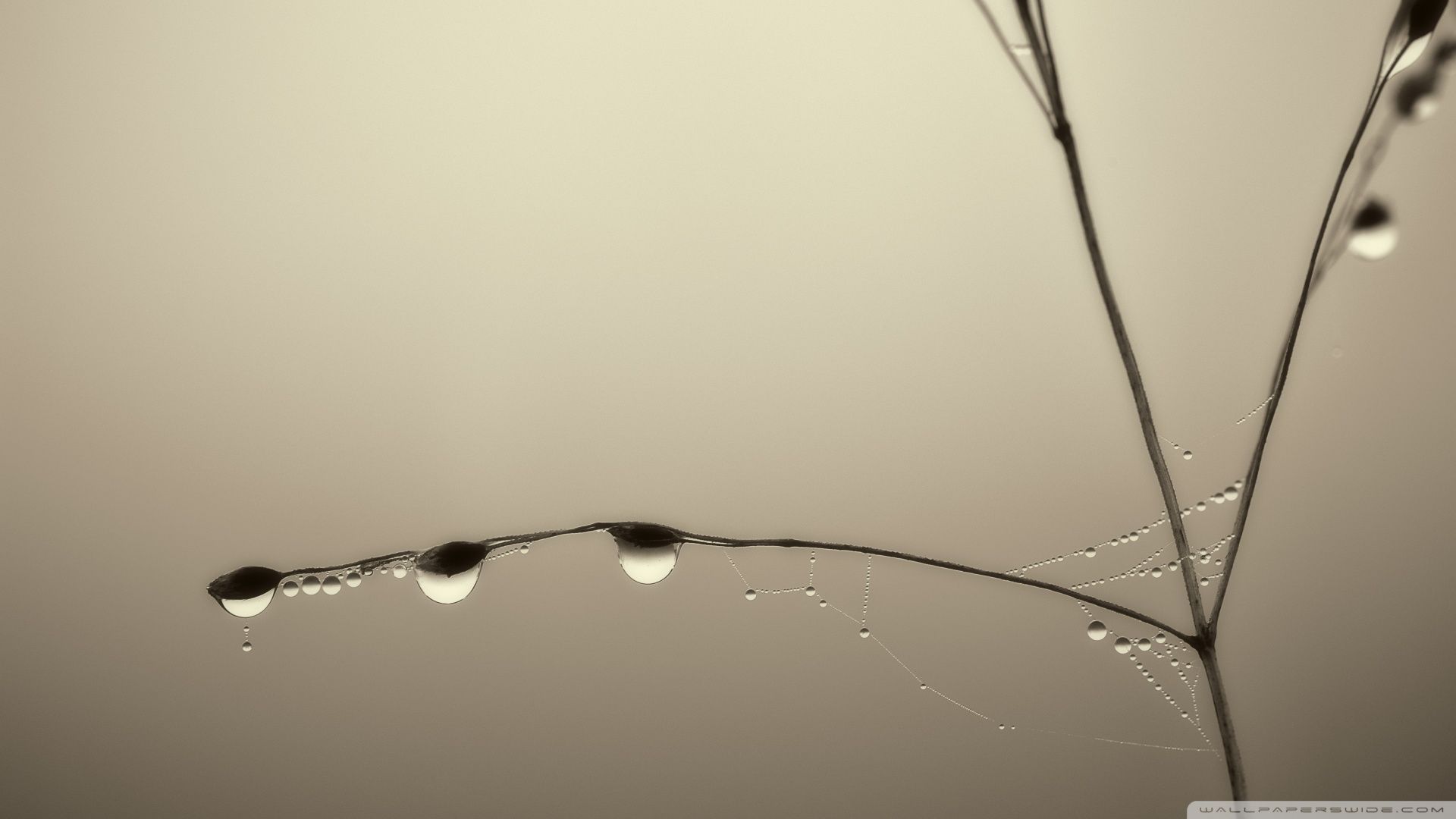 Stillness Wallpapers - Wallpaper Cave