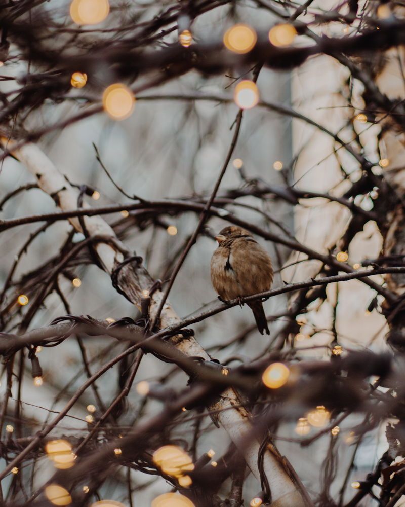 Winter Vibes Wallpapers - Wallpaper Cave