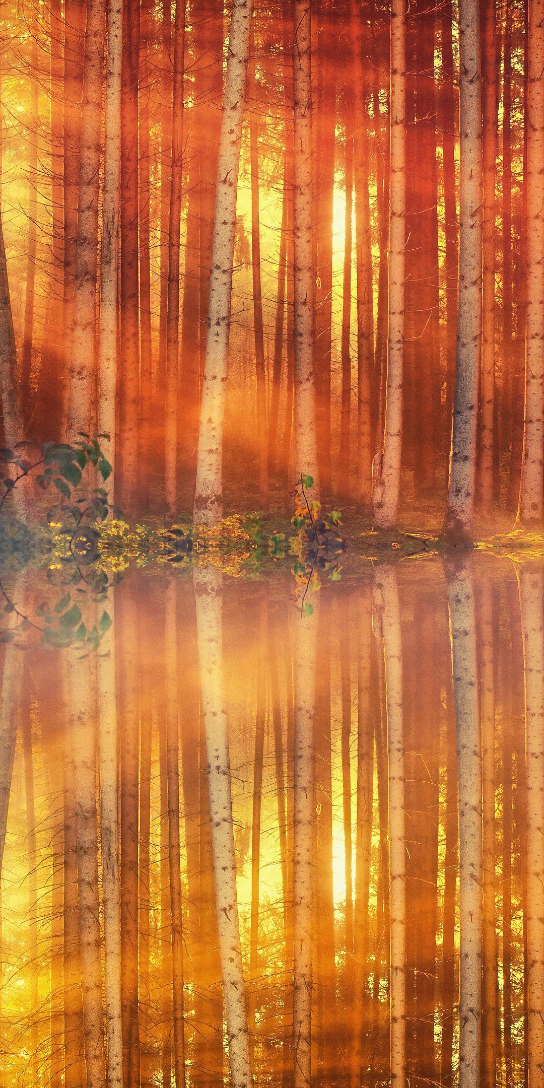 Reflections Of Autumn Wallpapers - Wallpaper Cave