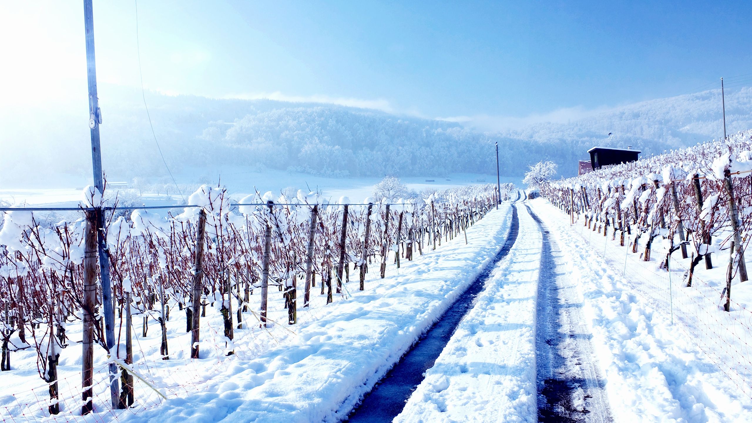 Winter Vibes Wallpapers - Wallpaper Cave