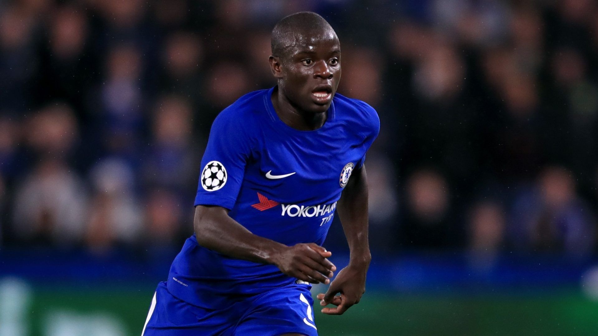 Kanté Wallpapers - Wallpaper Cave