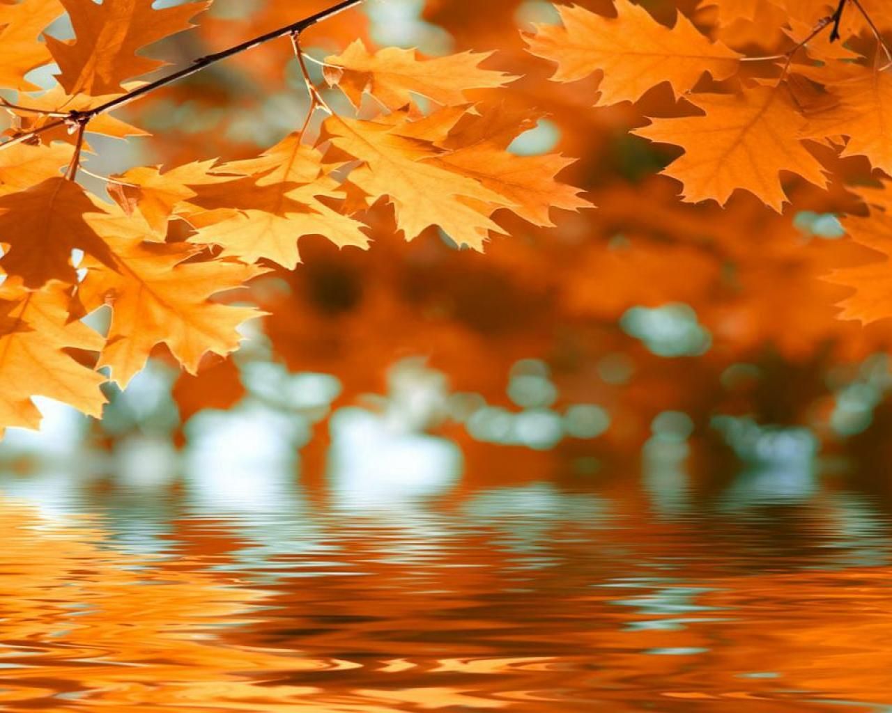 Reflections Of Autumn Wallpapers - Wallpaper Cave