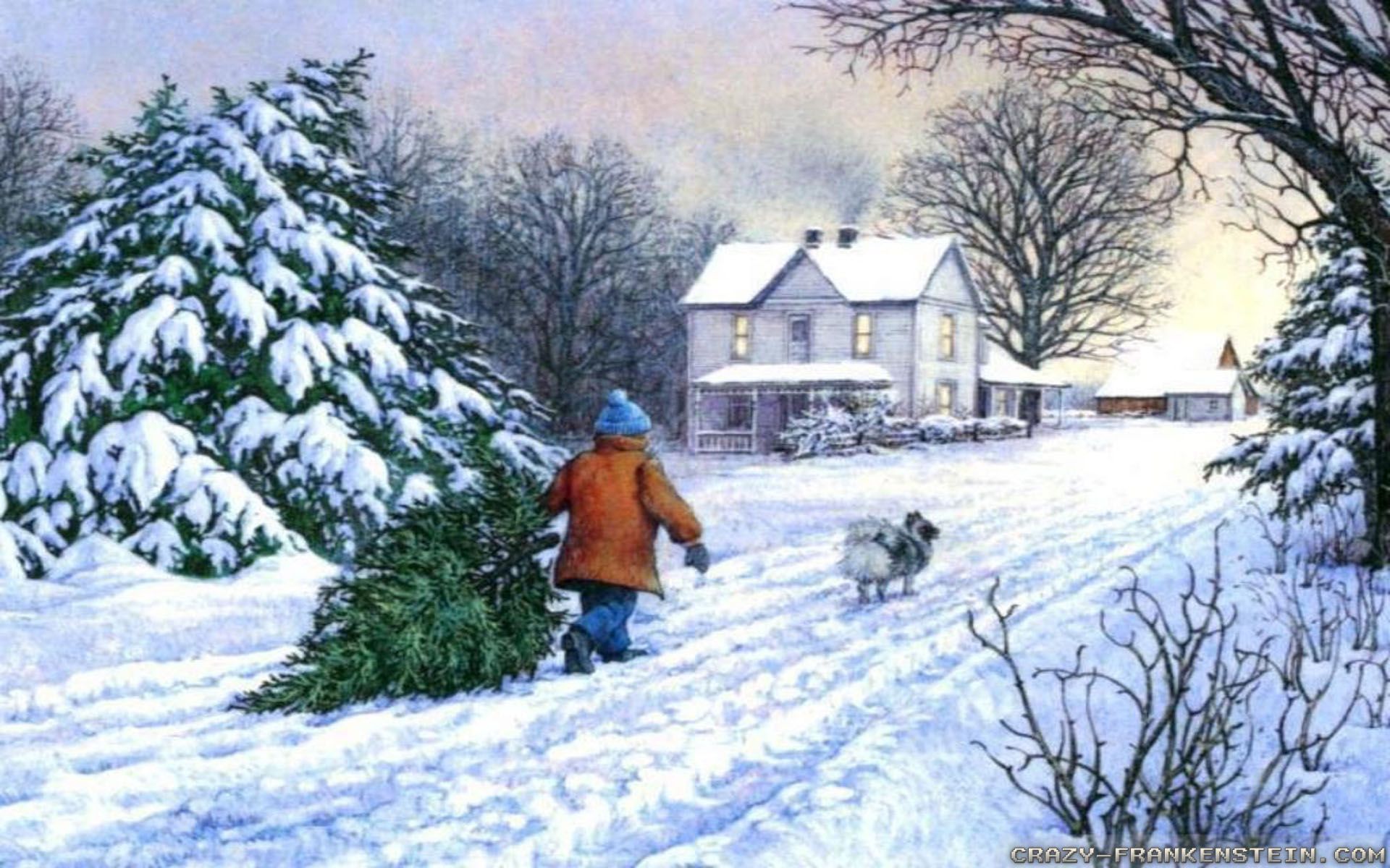 Winter Begining Wallpapers - Wallpaper Cave