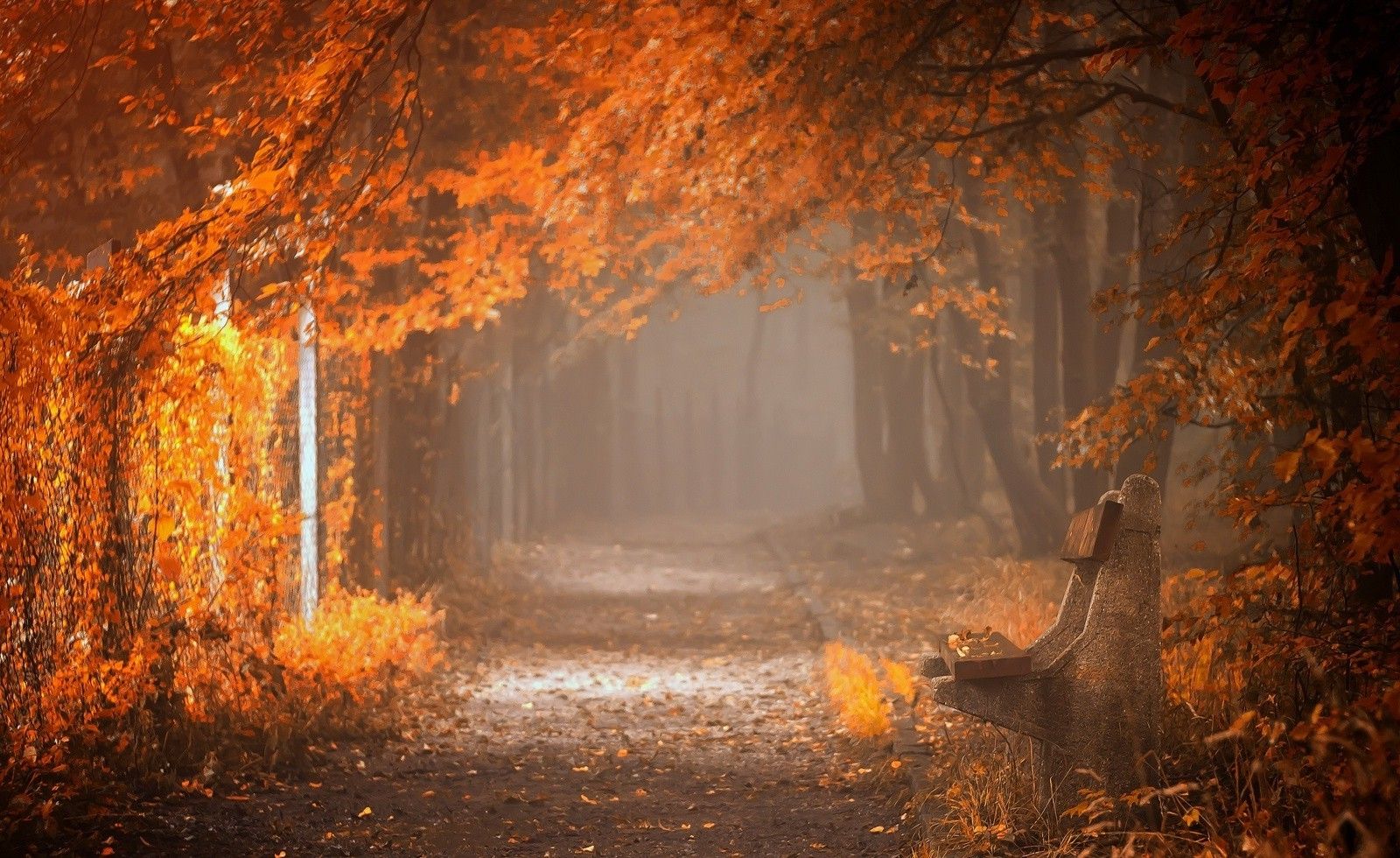 Autumn Mud Wallpapers - Wallpaper Cave