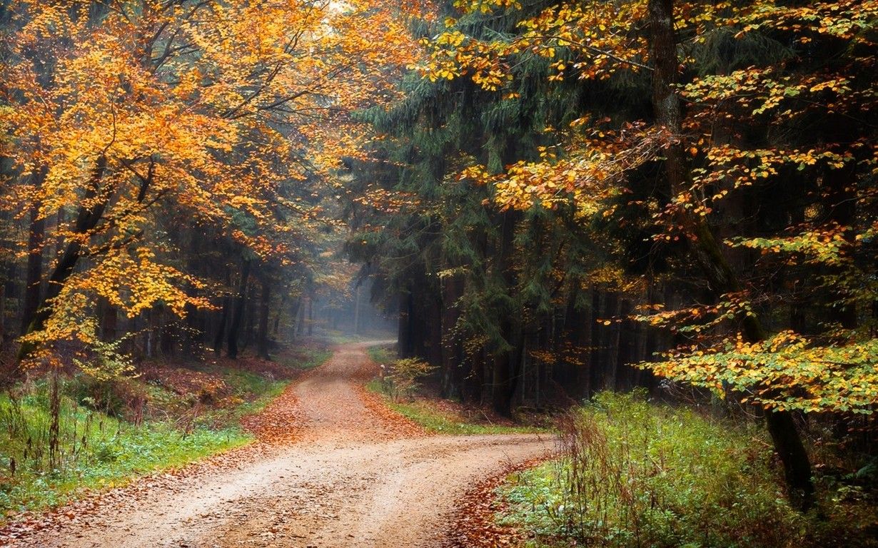 Autumn Mud Wallpapers - Wallpaper Cave